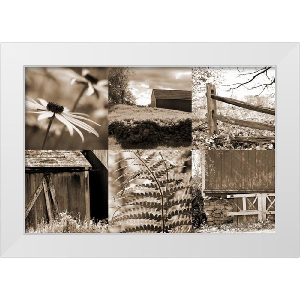 Amber Light Gallery 24x17 White Modern Wood Framed Museum Art Print ...