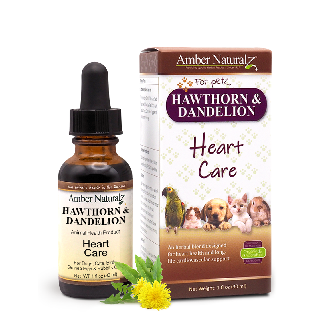 Amber Naturalz Hawthorn & Dandelion Cardiovascular Health Liquid ...