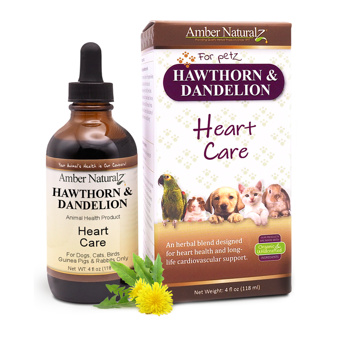 Amber NaturalZ Hawthorn and Dandelion for Pets | For Heart Health ...
