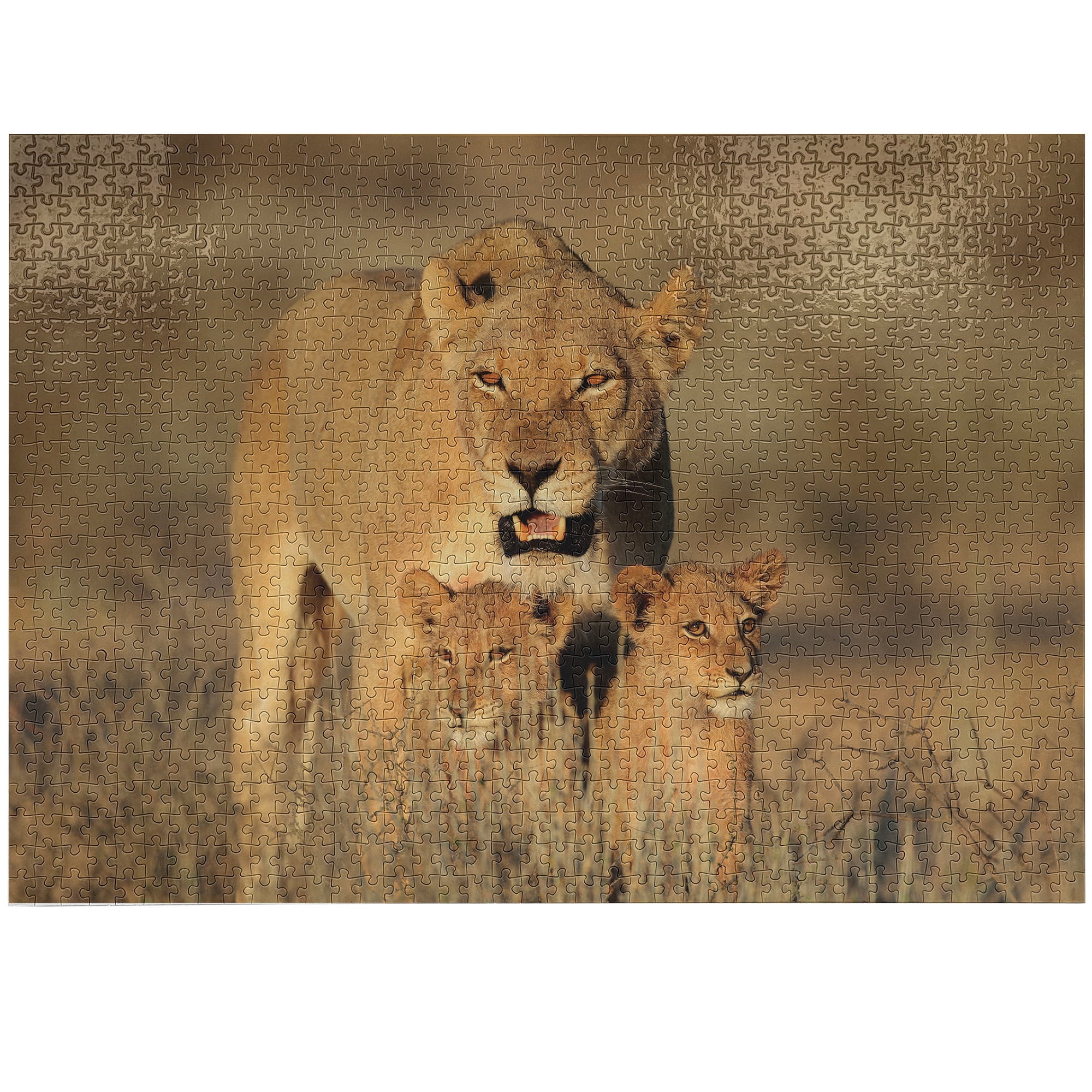 Ambesonne Africa Jigsaw Puzzle Durable Cardboard, Savannah Lions ...