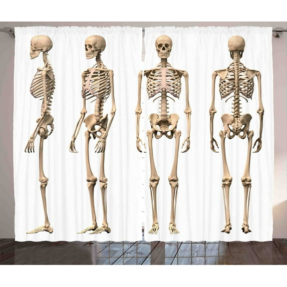 Ambesonne Anatomy Curtains 2 Panel Set, Mankind Skeleton Bones Art, 108 ...