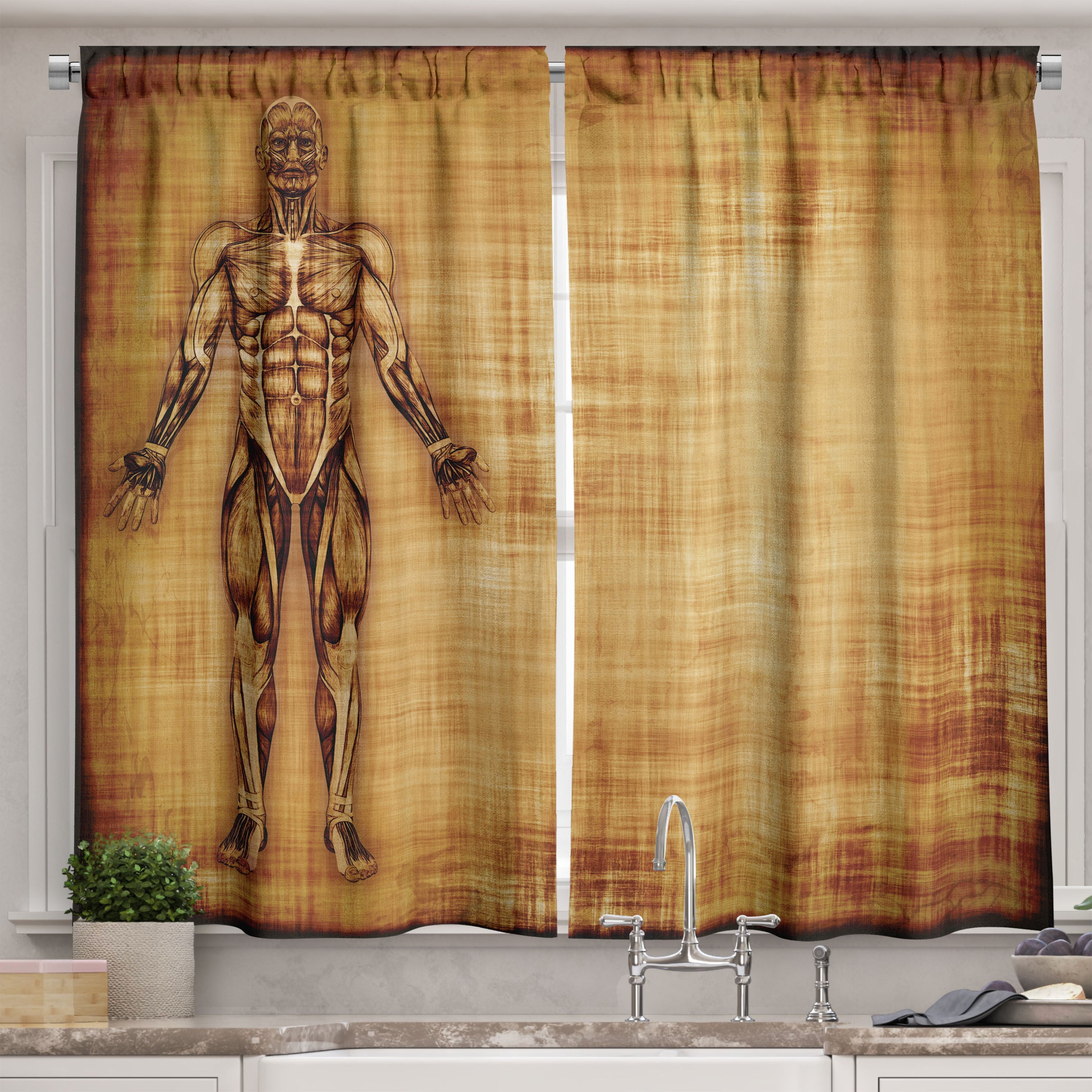 Ambesonne Anatomy Kitchen Curtains, Human Body Style, 55"x45", Pale ...