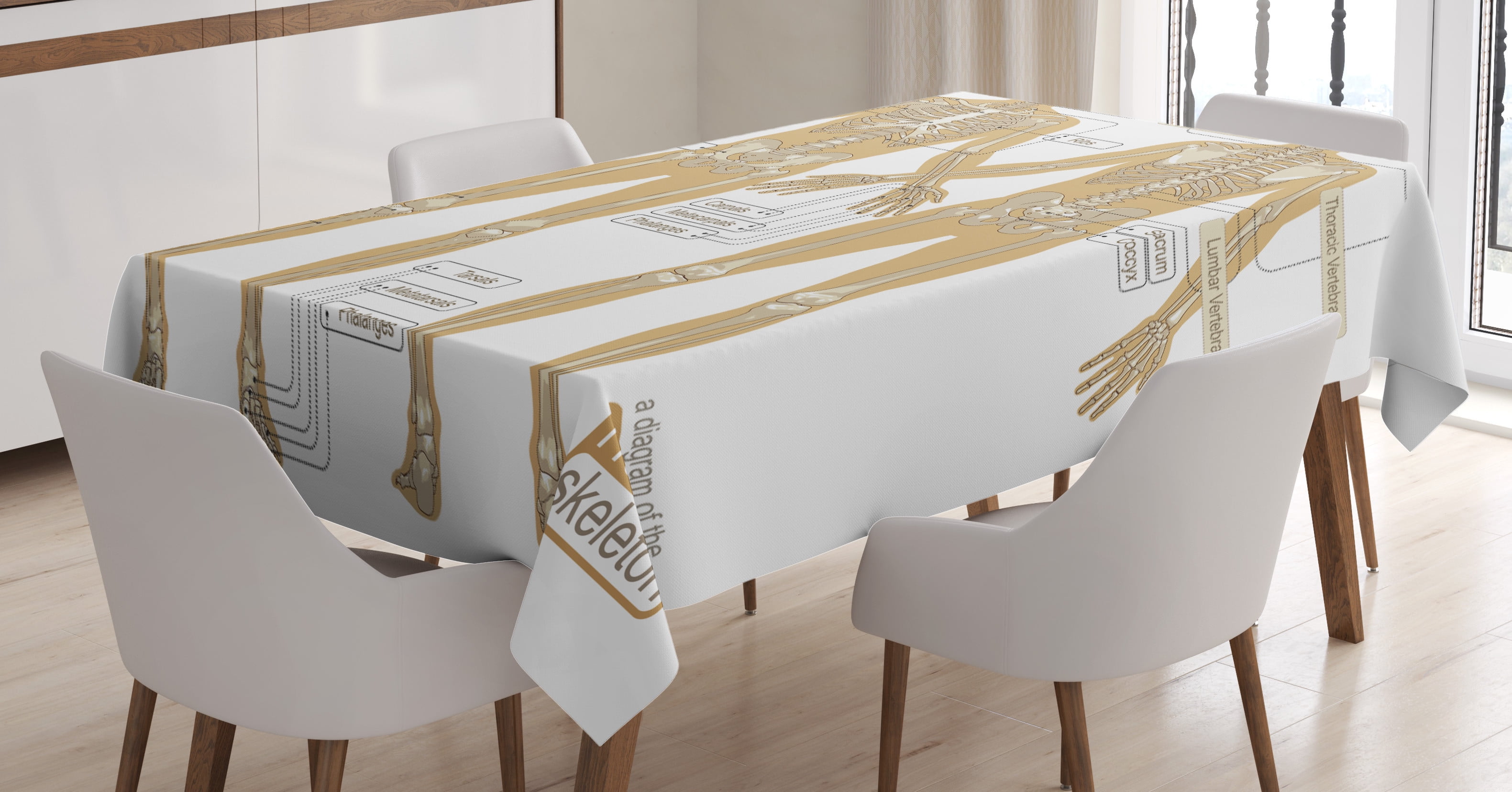 Ambesonne Anatomy Tablecloth Rectangular Table Cover, Human Skeleton ...