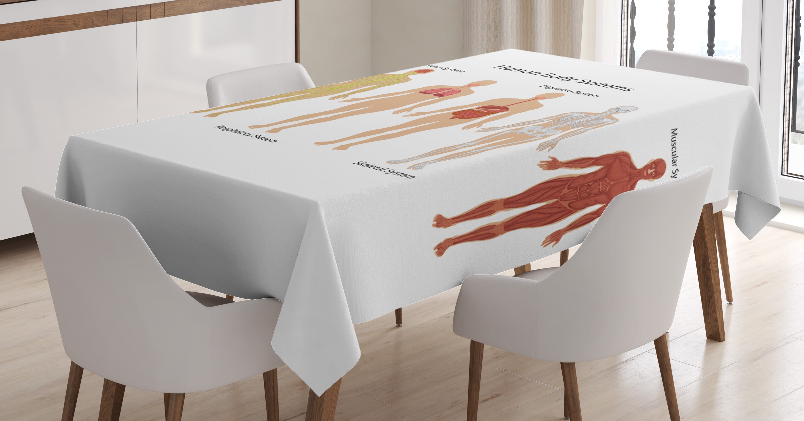 Ambesonne Anatomy Tablecloth Rectangular Table Cover, Skeleton System ...