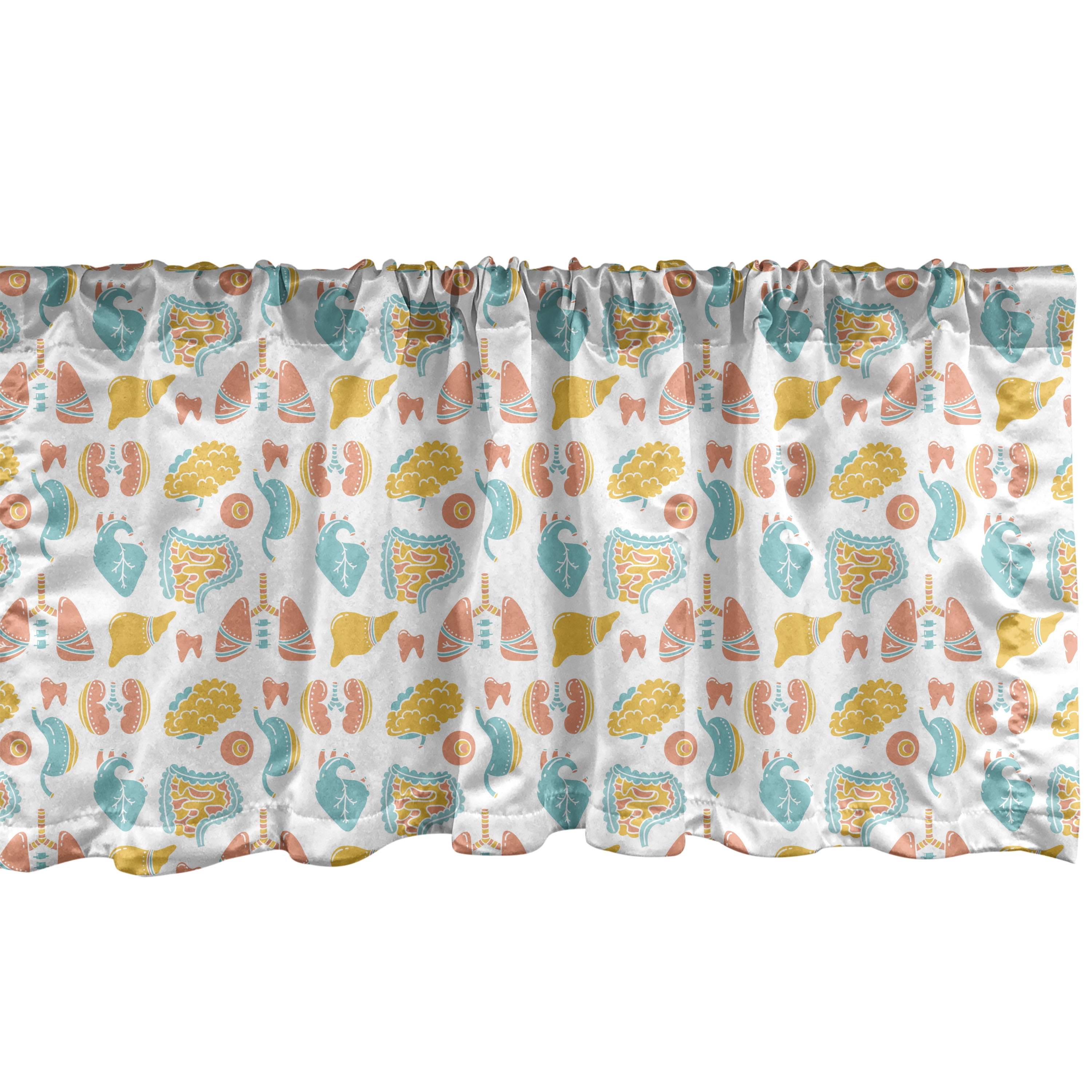 Ambesonne Anatomy Window Valance, Internal Organs Drawings, 54" X 18 ...