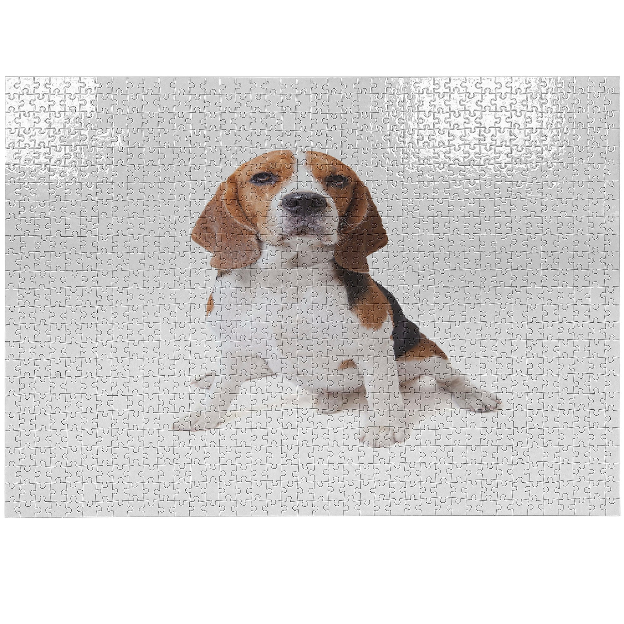 Ambesonne Beagle Jigsaw Puzzle Durable Cardboard, Puppy Dog Friend ...