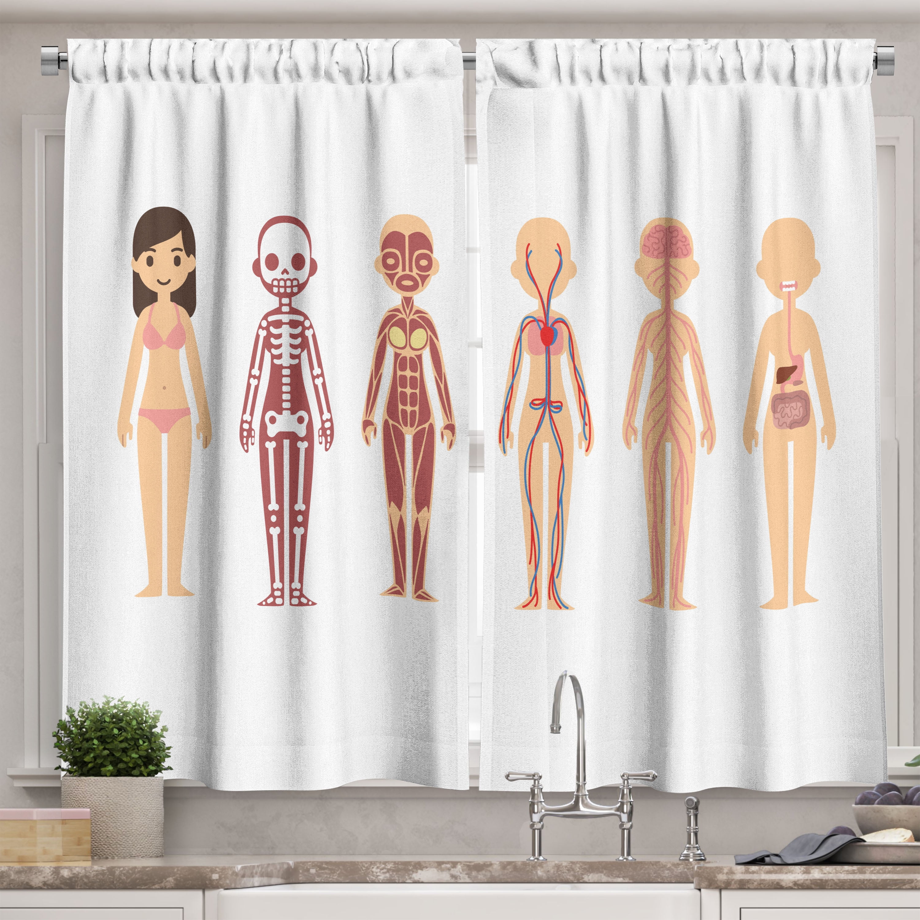 Ambesonne Biology Kitchen Curtains, Female Body Anatomy Chart, 55"x39 ...