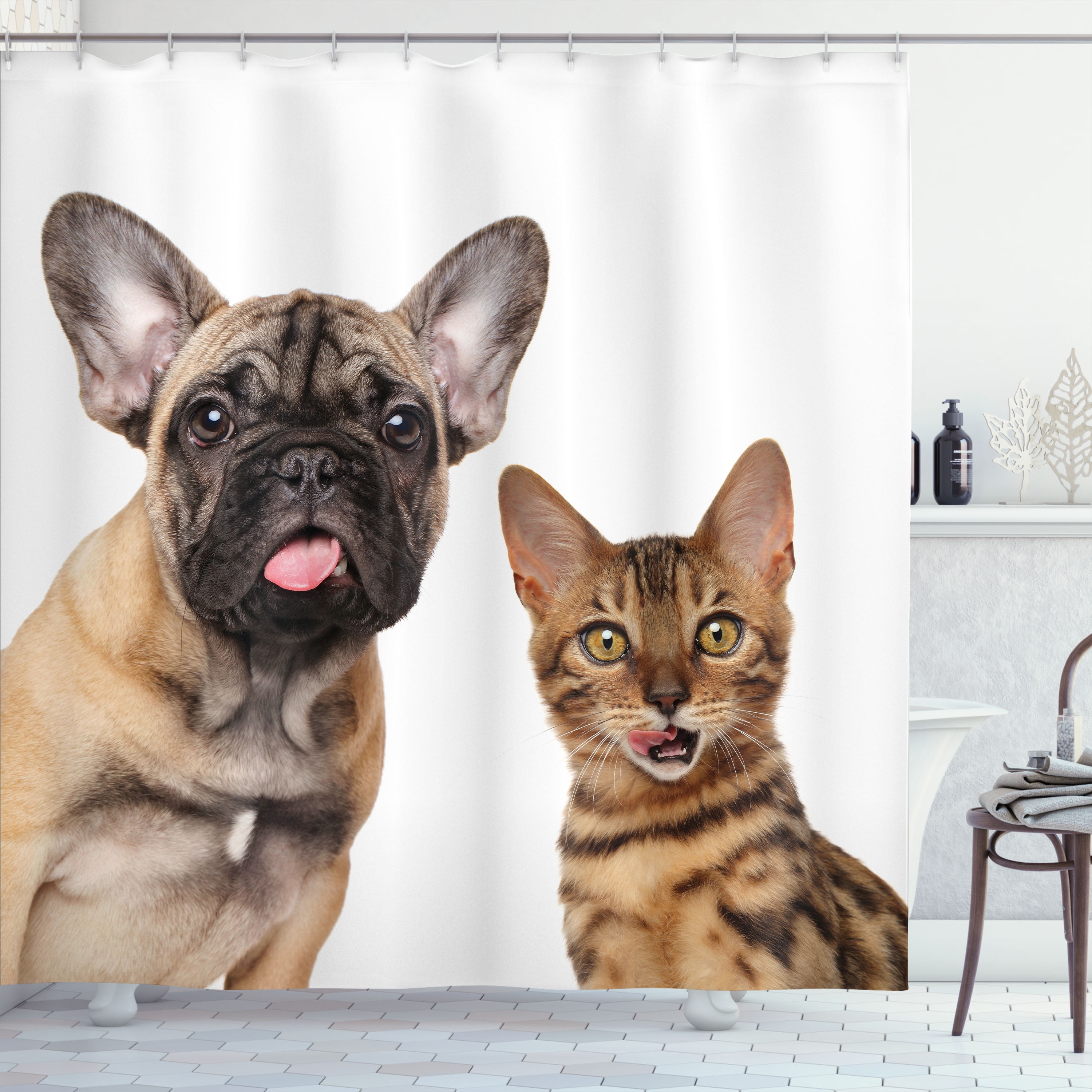 Ambesonne Bulldog Shower Curtain, Cat and Dog Shocked Staring, 69"Wx70 ...