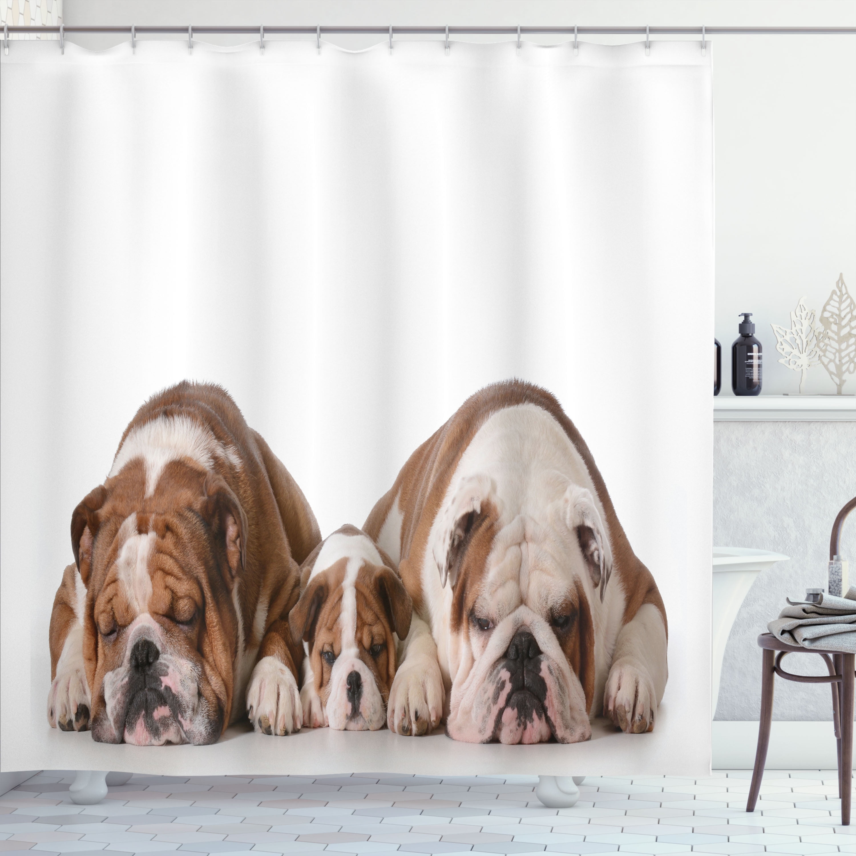 Ambesonne Bulldog Shower Curtain, Image of 3 Generations Dogs, 69"Wx84 ...