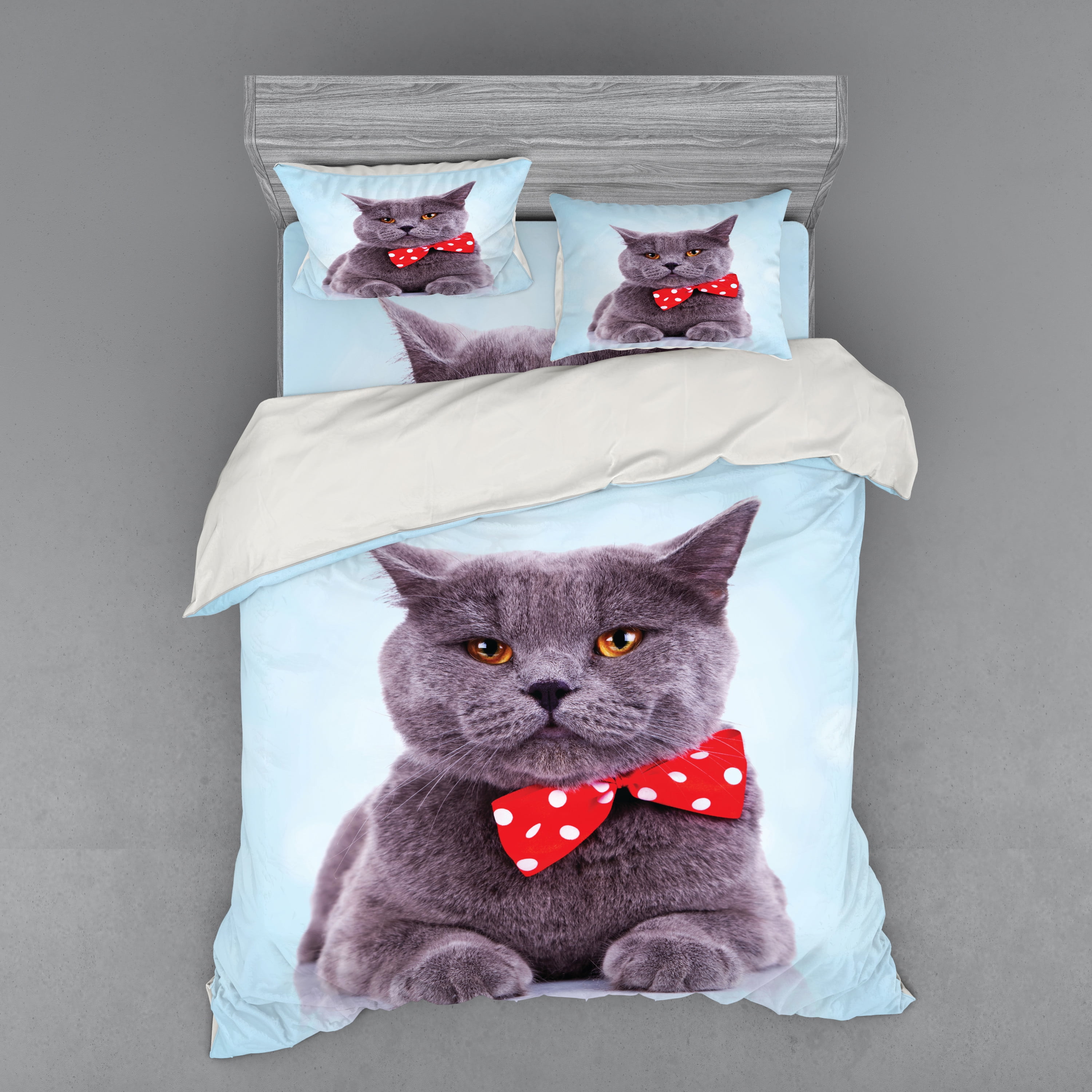 Ambesonne Cat Bedding Set 4 Pcs, Grey Scottish Fold Theme, Queen, Pale ...