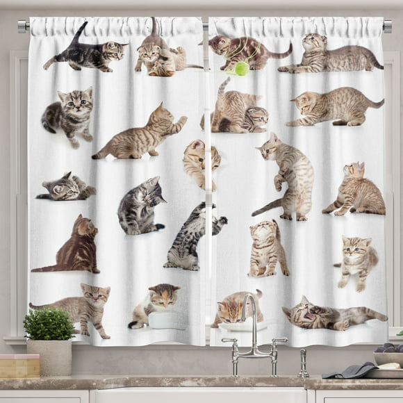 Cat Curtains