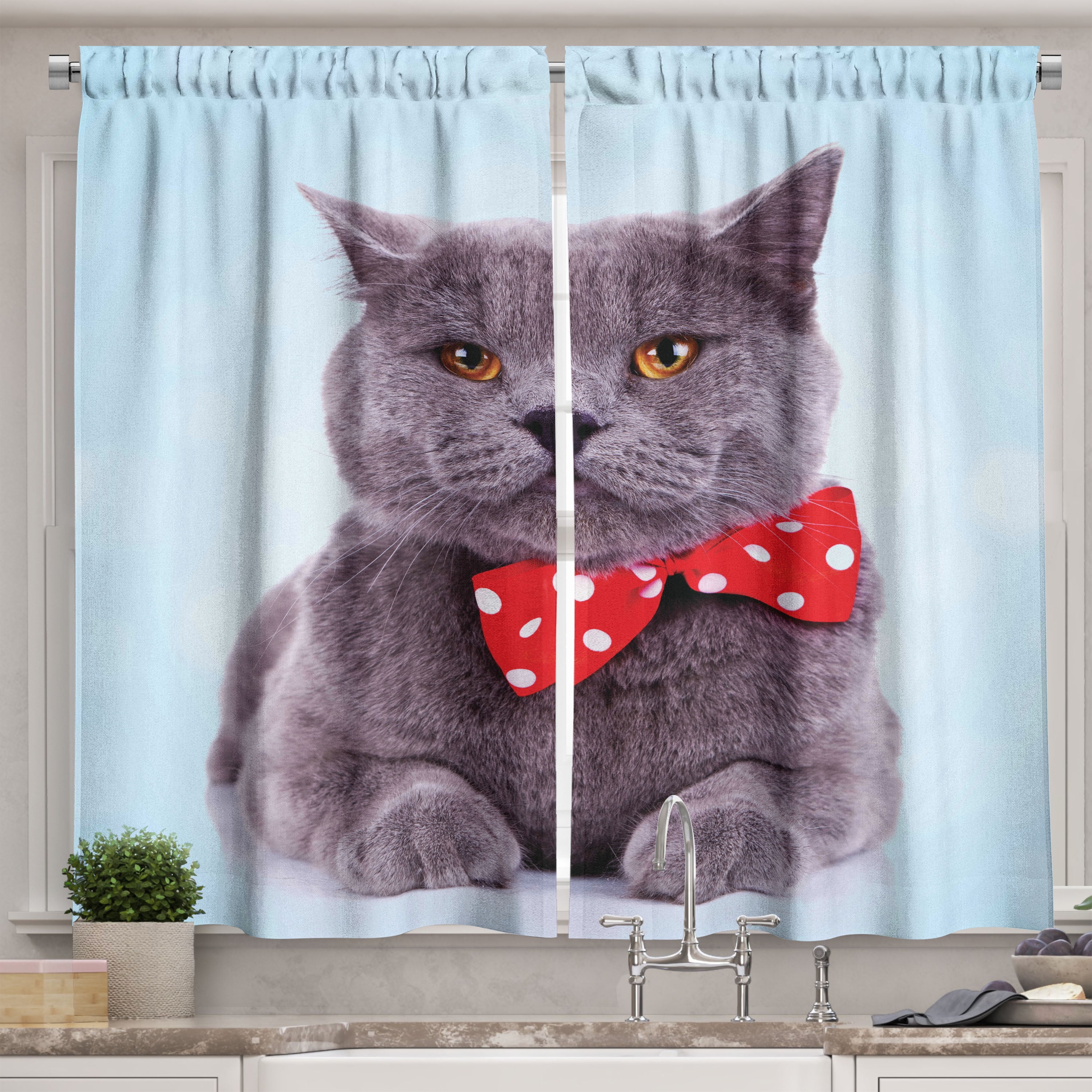 Ambesonne Cat Kitchen Curtains, Grey Scottish Fold Theme, 55"x45", Pale ...