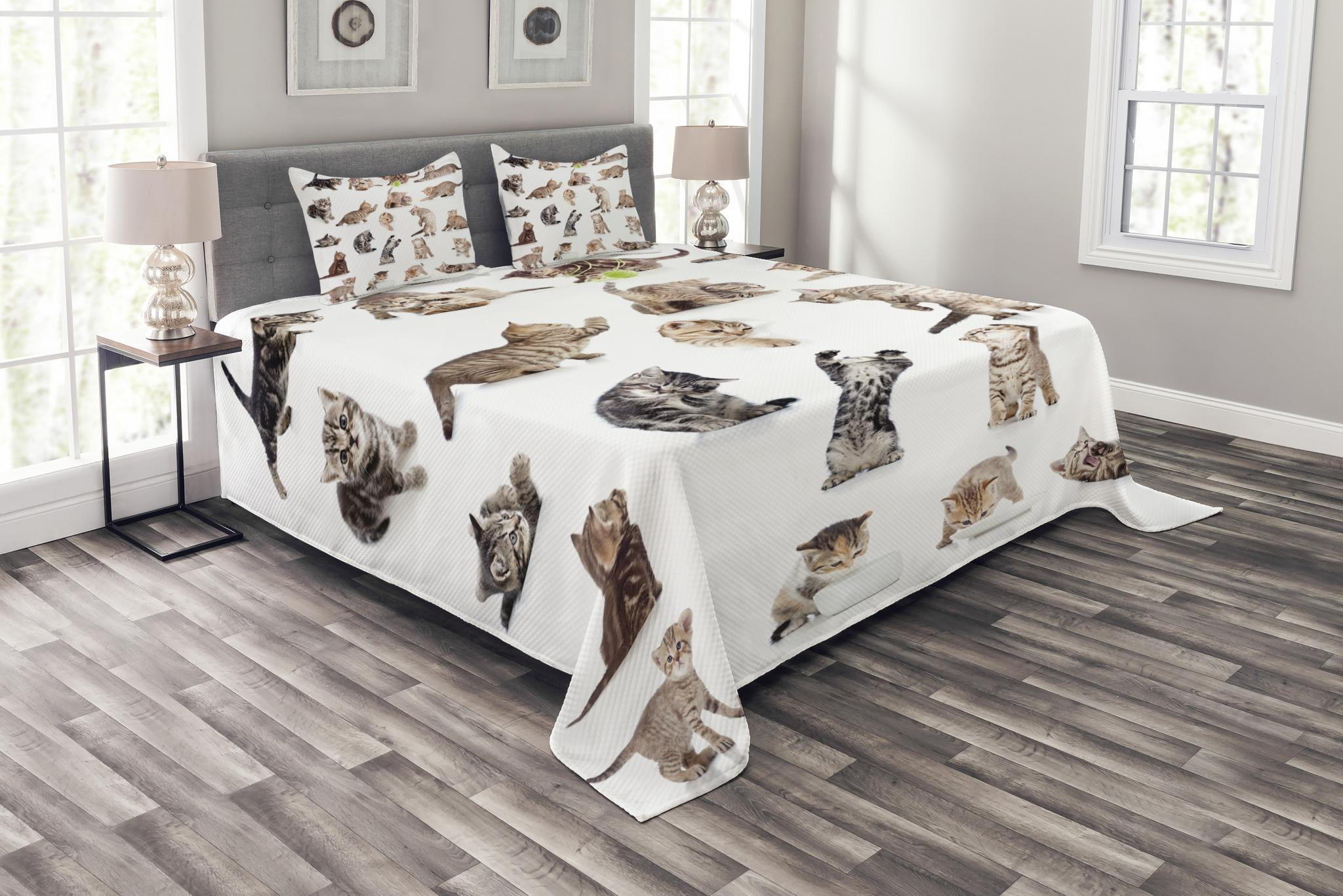 Ambesonne Cat Quilted Bedspread Set 3 Pcs, Funny Playful Cats Image ...
