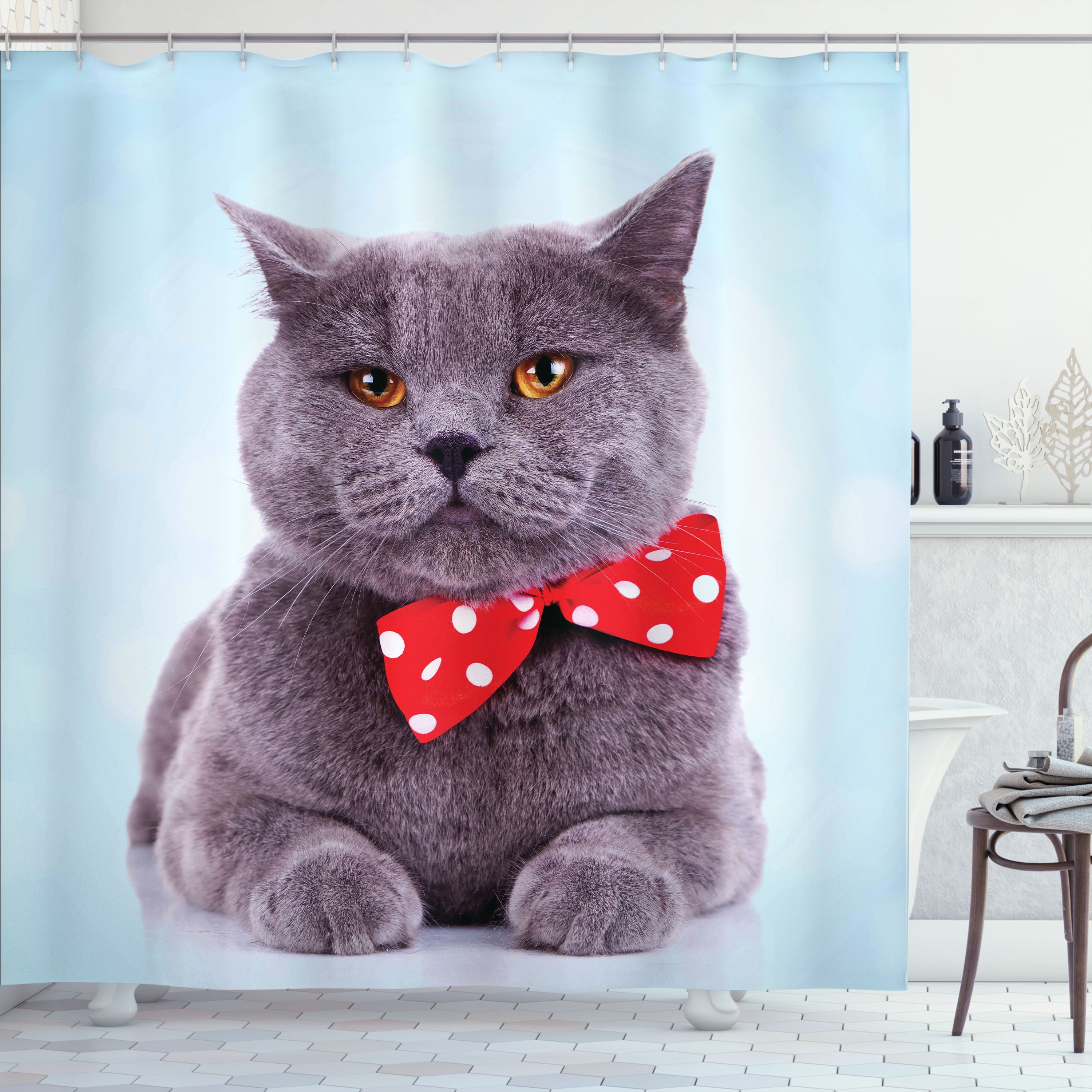 Ambesonne Cat Shower Curtain, Grey Scottish Fold Theme, 69"Wx84"L, Pale ...