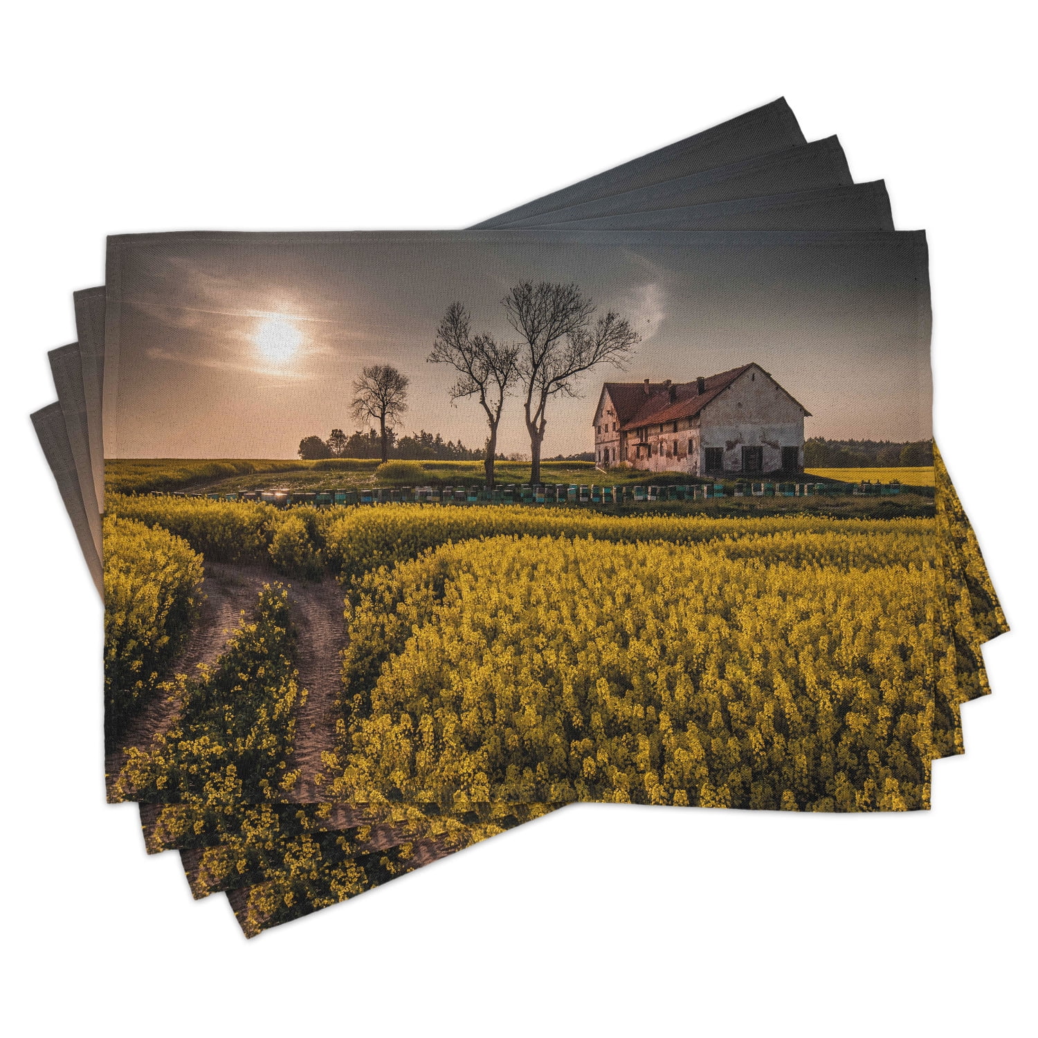 Ambesonne Country Home Place Mats Set of 4, Old Rural House, Standard ...