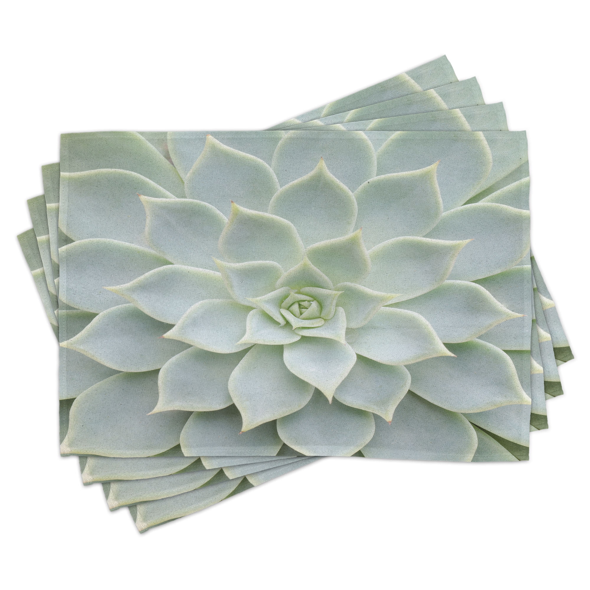 Ambesonne Desert Place Mats Set of 4, Cactus Flowers Photo, Standard ...