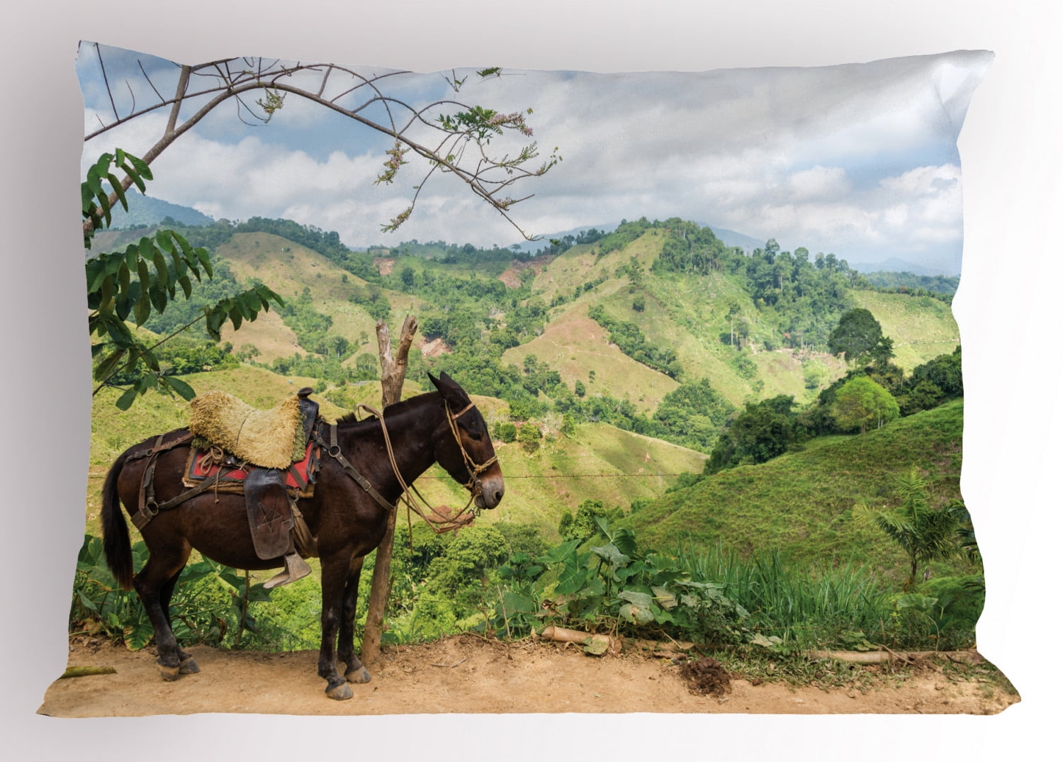 Ambesonne Donkey Pillow Sham, Rural Columbia Mountains, 26" X 20 ...