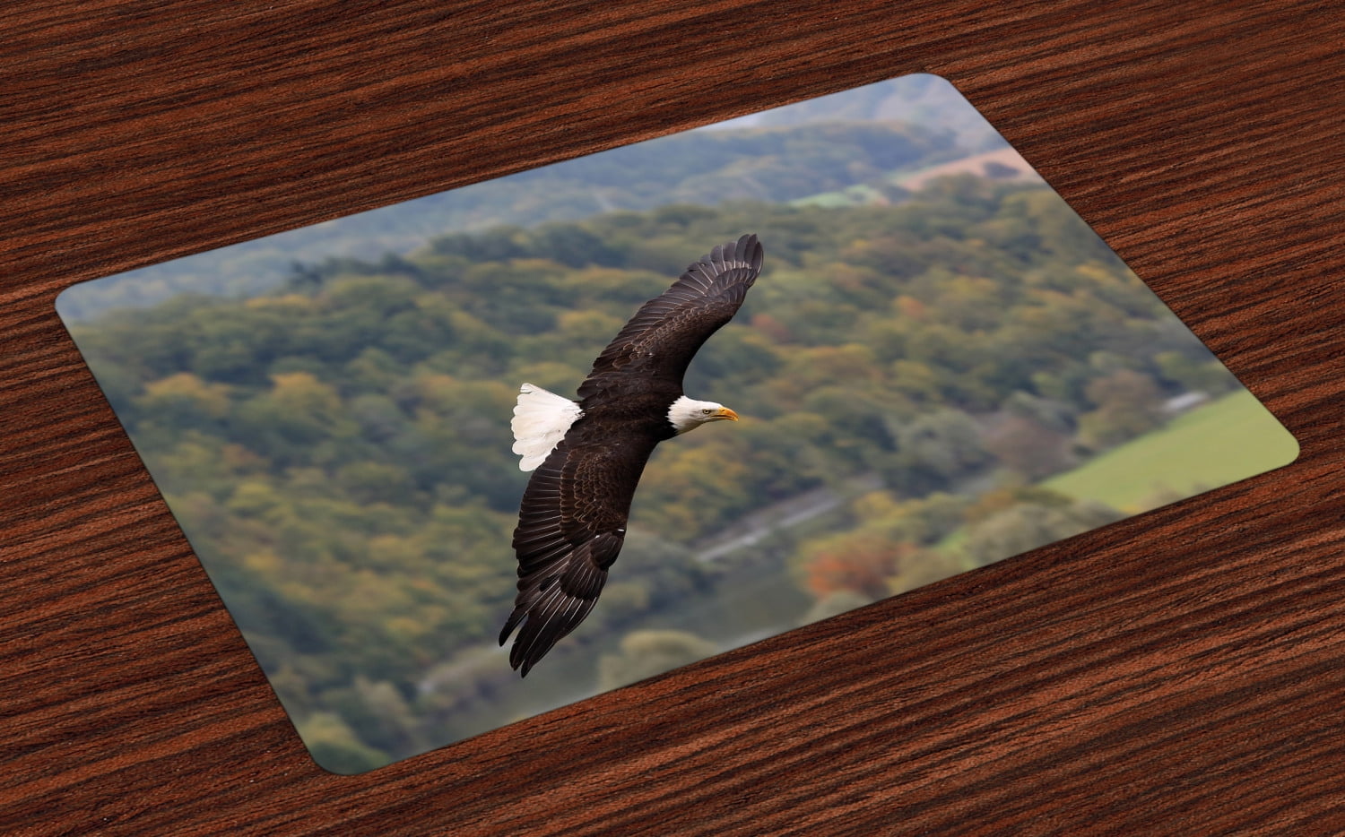 Ambesonne Eagle Place Mats Set of 4, King of Skies Fly Forest, Standard ...