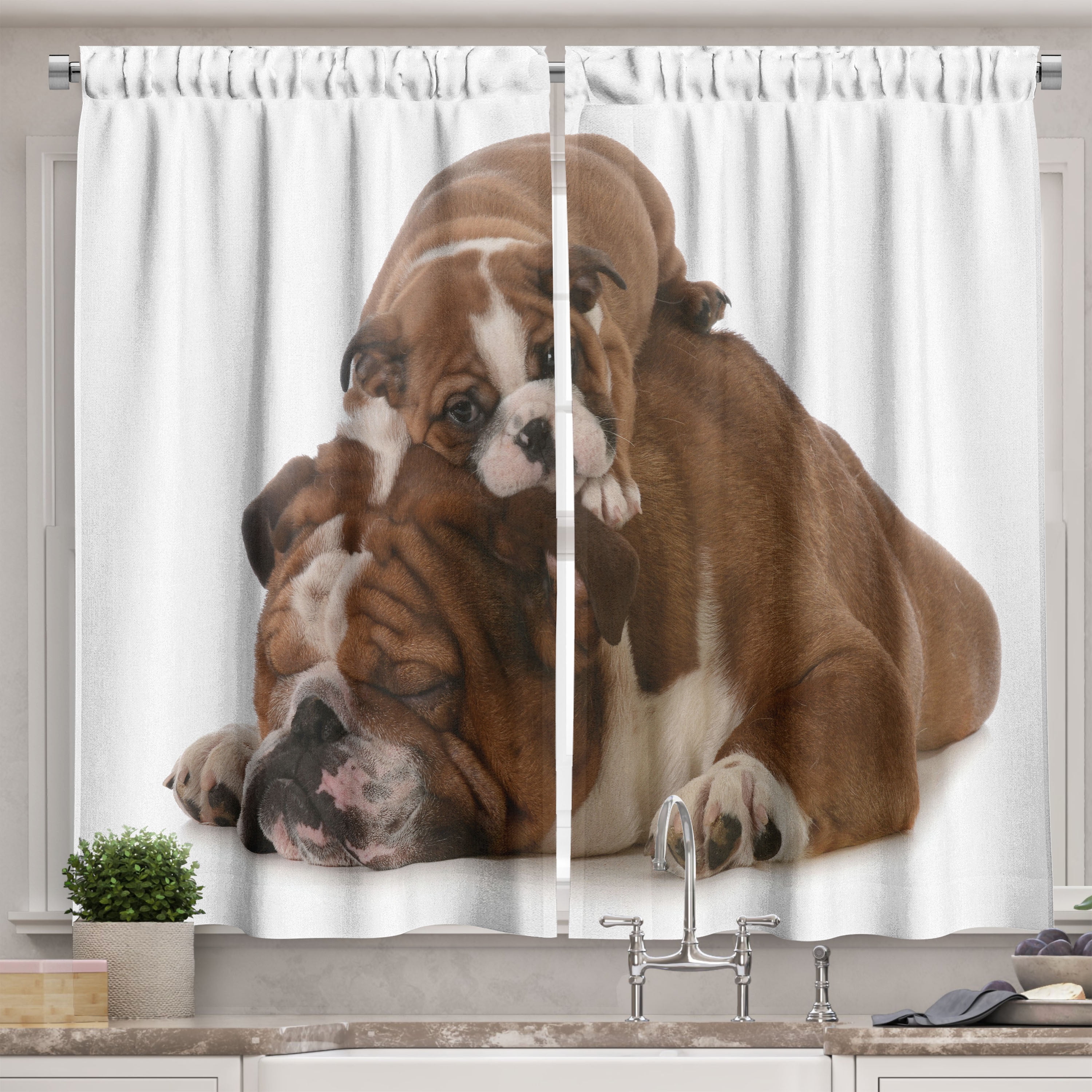 Ambesonne English Bulldog Kitchen Curtains, Father and Son, 55"x39 ...