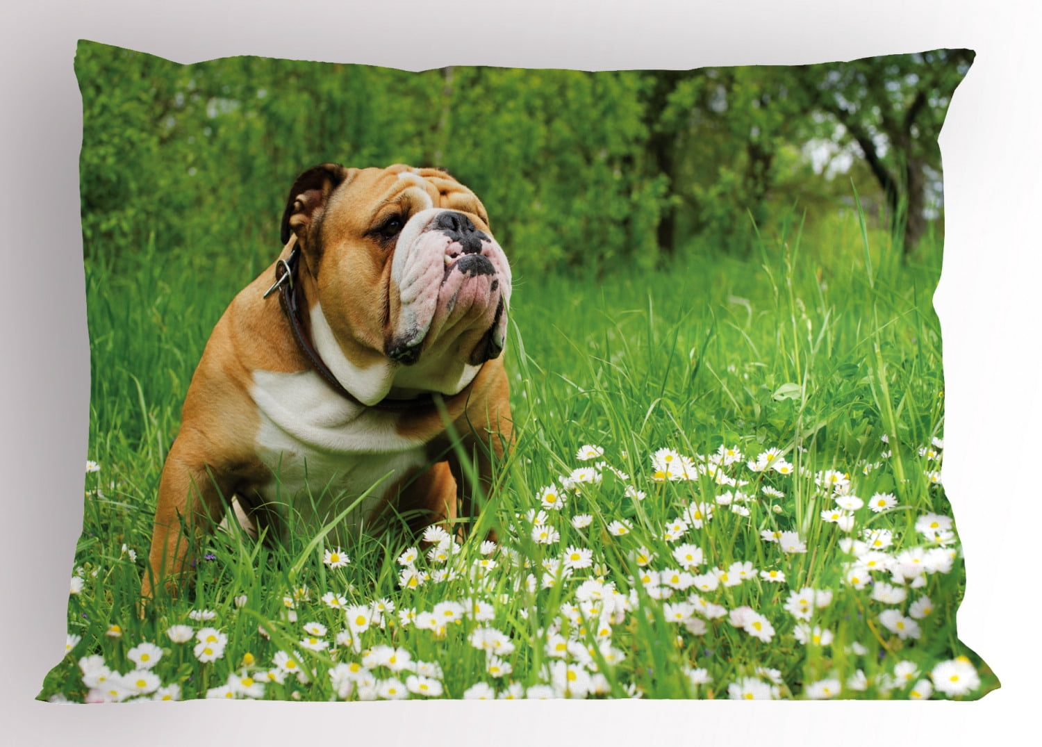 Ambesonne English Bulldog Pillow Sham, Blossom Daisies, 26" X 20", Fern ...