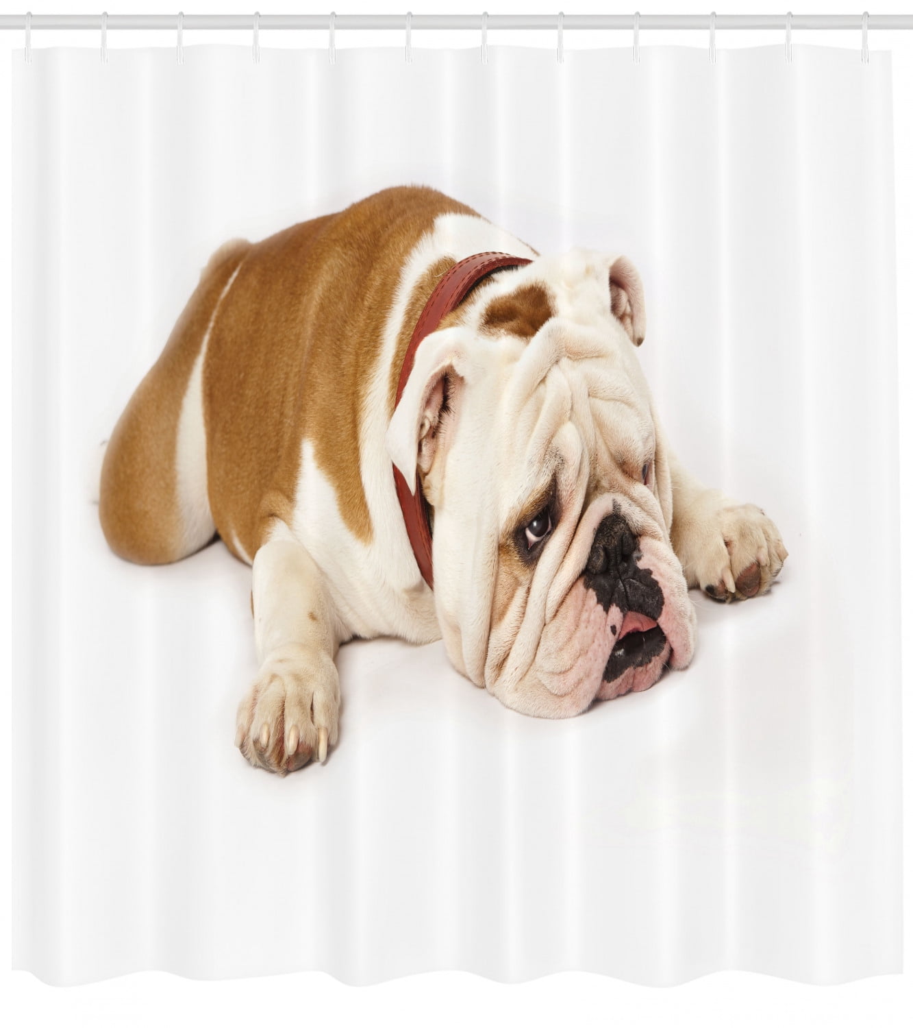 Ambesonne English Bulldog Shower Curtain, Sad Animal, 69"Wx84"L, Cream ...