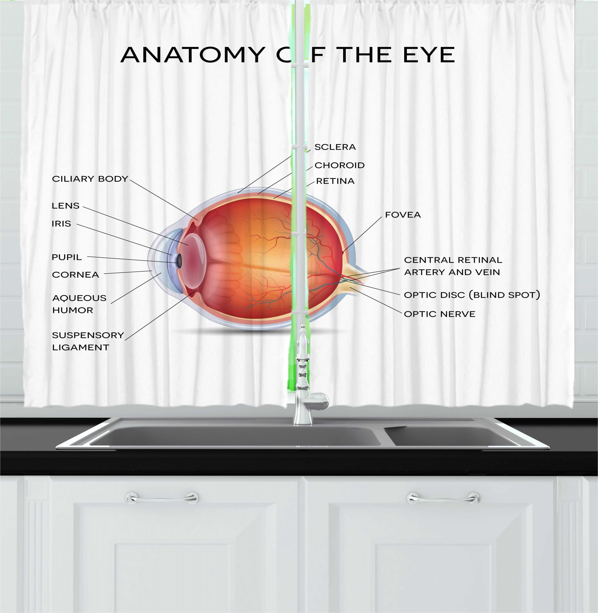 Ambesonne Eye Chart Kitchen Curtains, Anatomy of an Eye Wording, 55"x45 ...