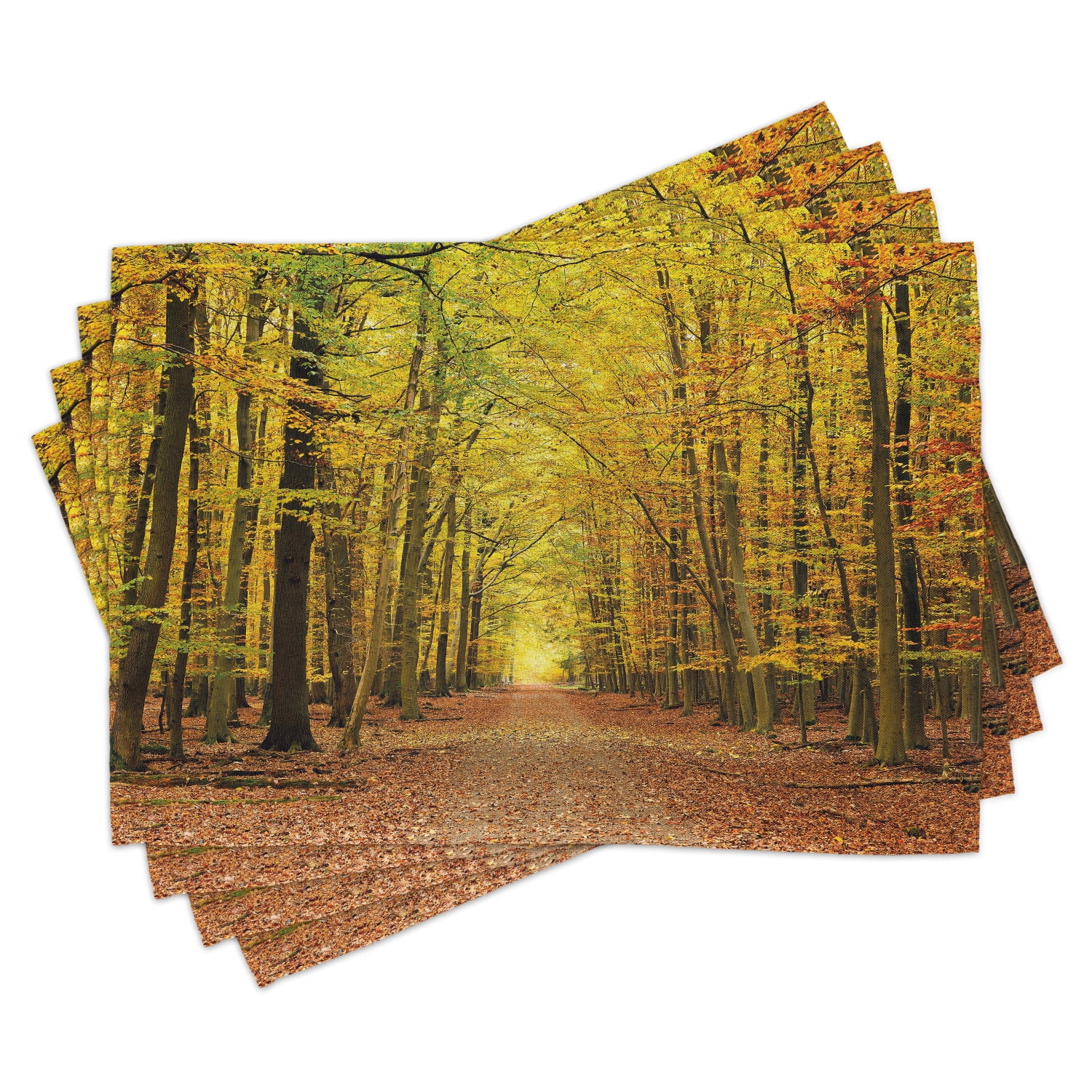 Ambesonne Fall Place Mats Set of 4, Pathway into the Forest, Standard ...