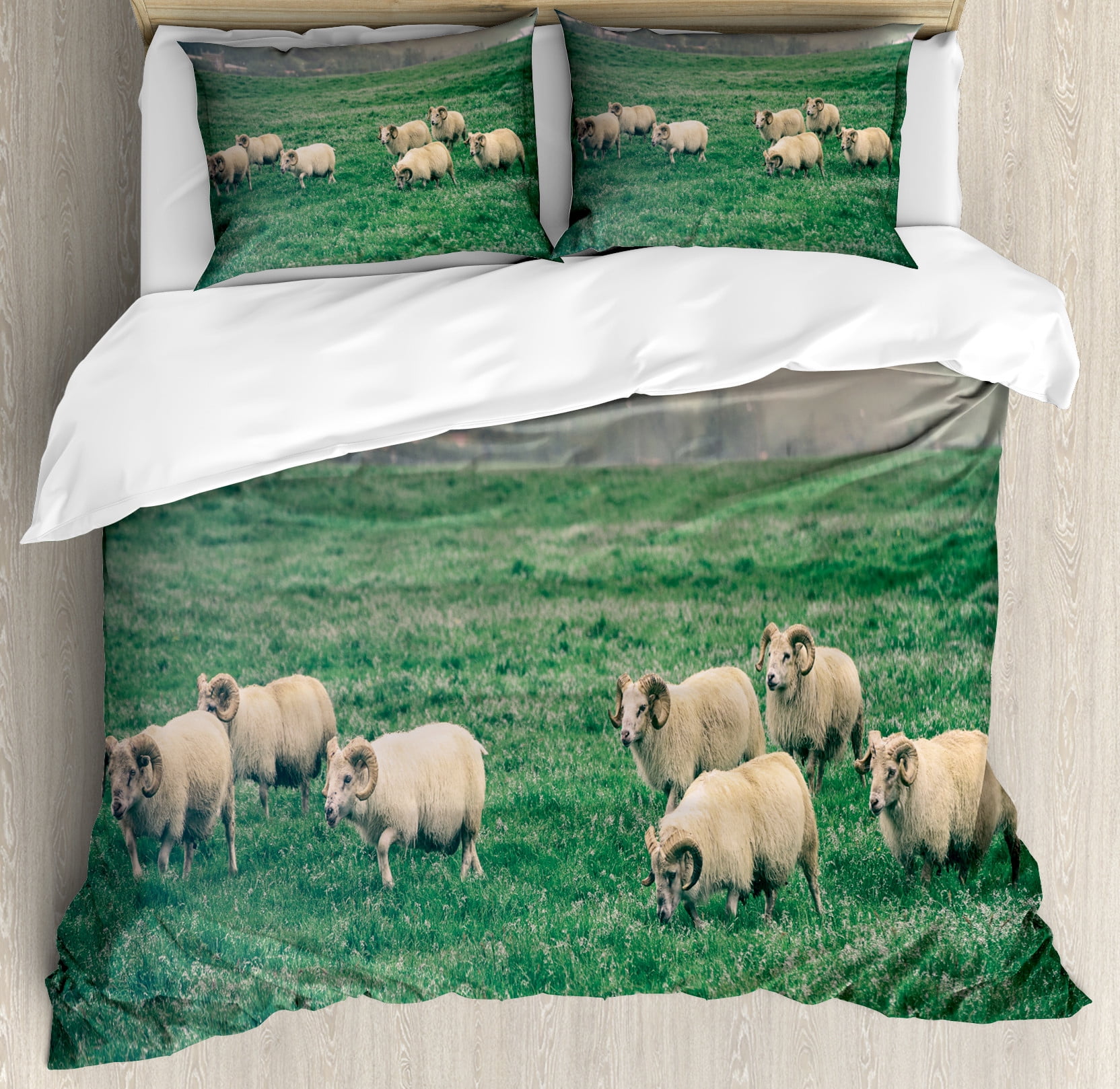 Ambesonne Farm Animal Duvet Cover Set, Sheep Grazing on Grass, King ...