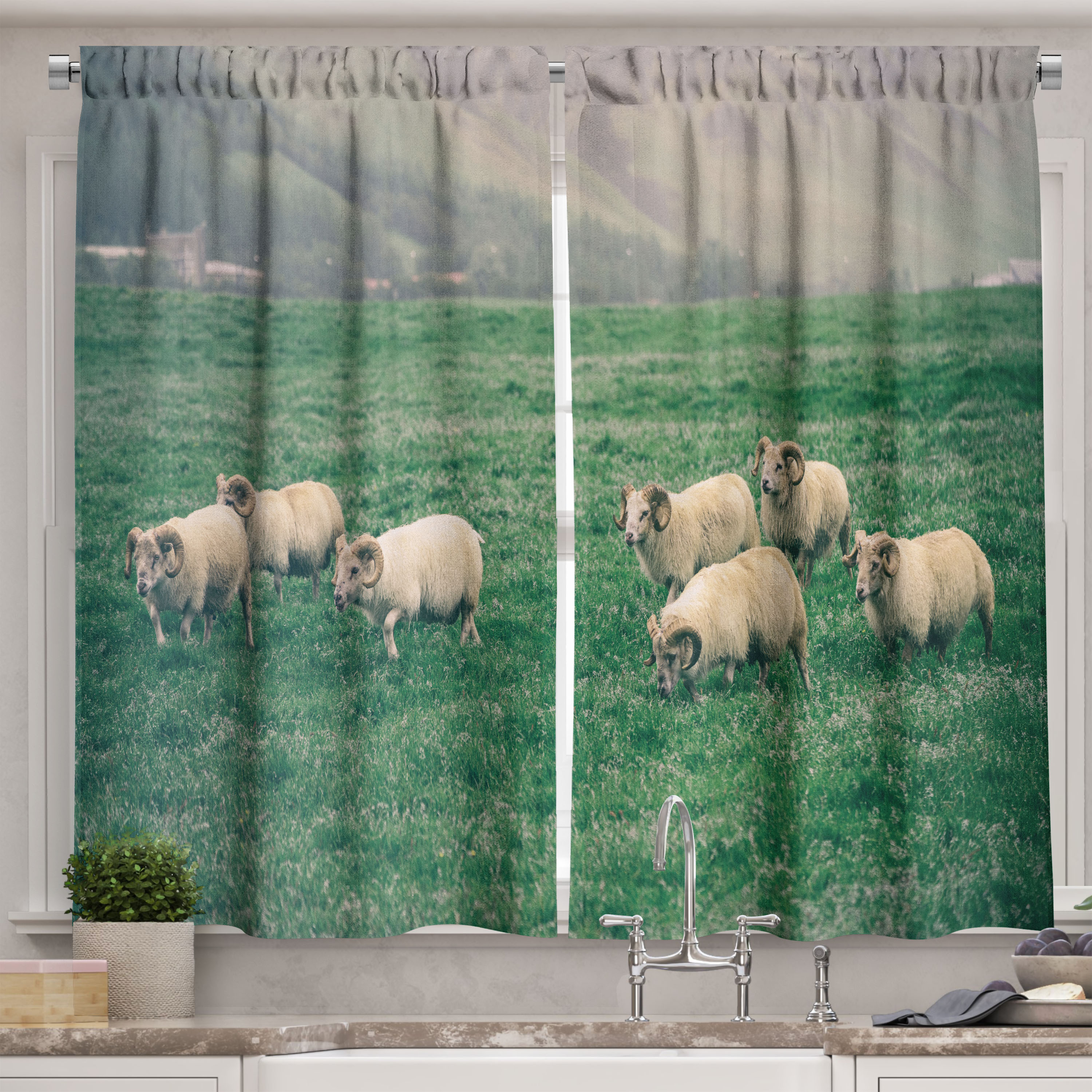 Ambesonne Farm Animal Kitchen Curtains, Sheep Grazing on Grass, 55"x39 ...