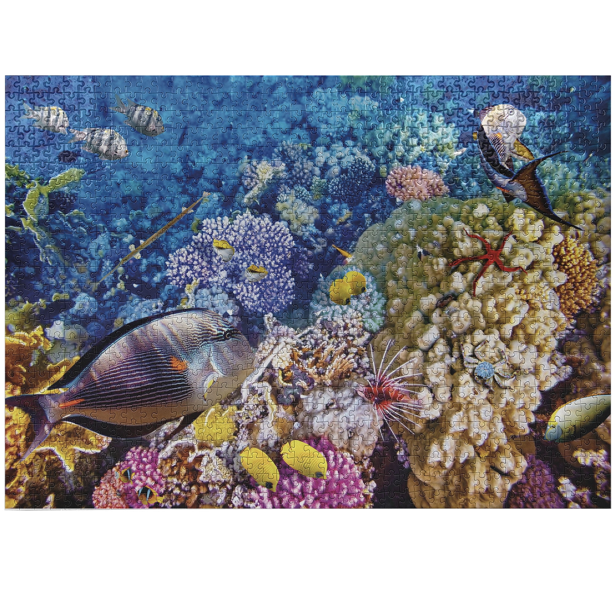 Ambesonne Fish Jigsaw Puzzle, Ocean Beauties, Heirloom-Quality Fun ...