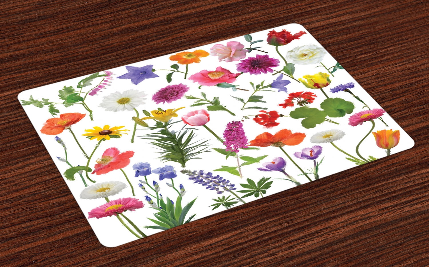 Ambesonne Flower Place Mats Set of 4, Colored Roses Tulips, Standard ...