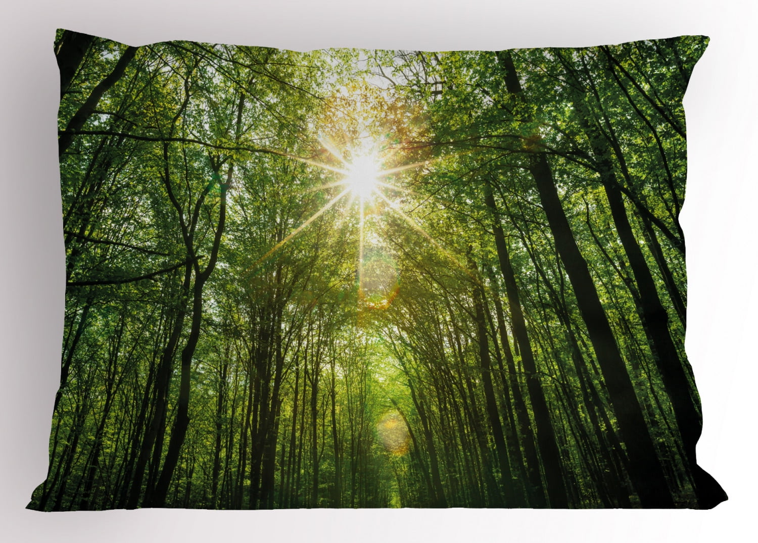 Ambesonne Forest Pillow Sham, Summer Trees Upward View, 26" X 20", Fern ...