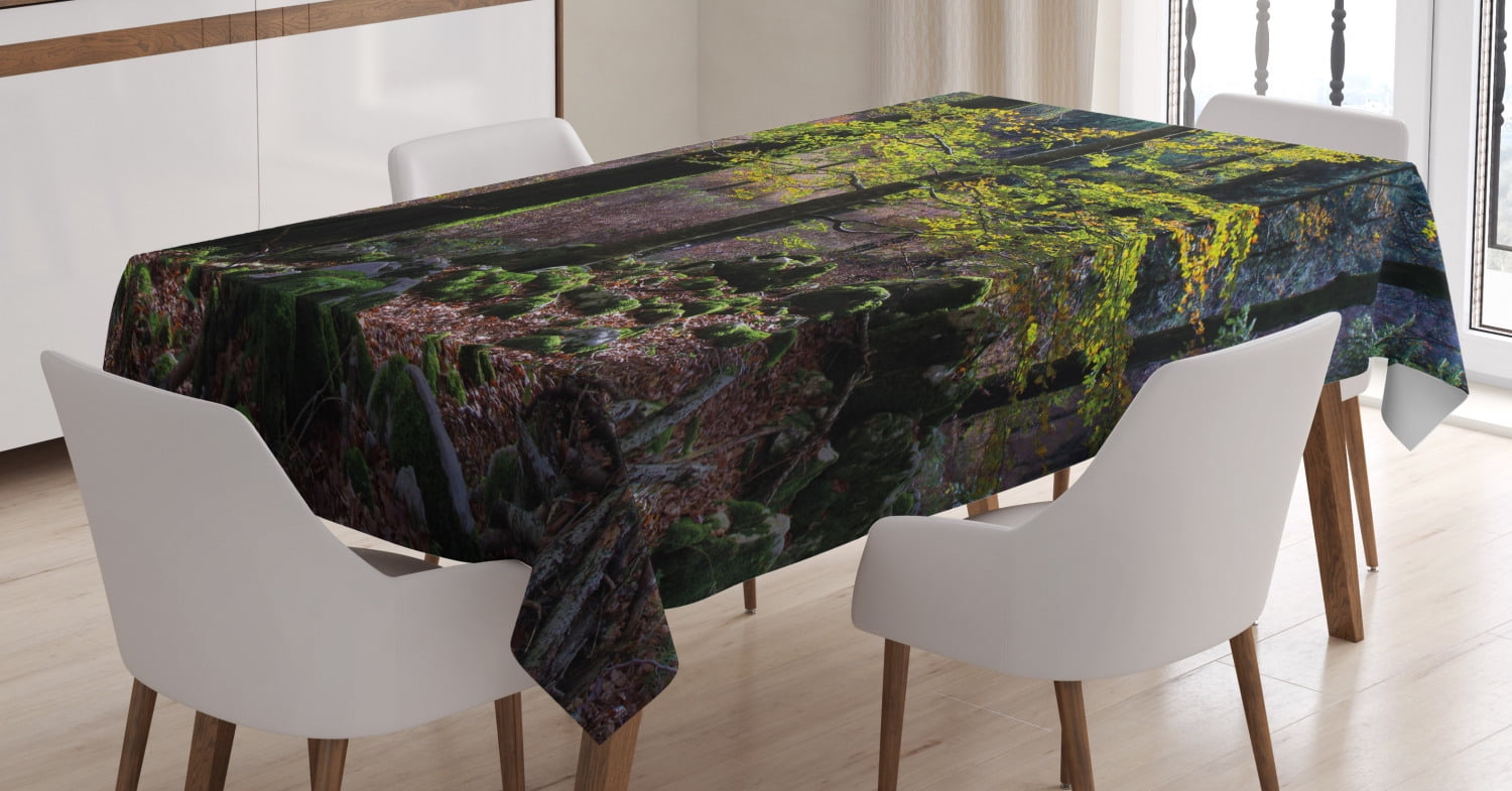 Ambesonne Forest Tablecloth Rectangular Table Cover, Trees Autumn ...