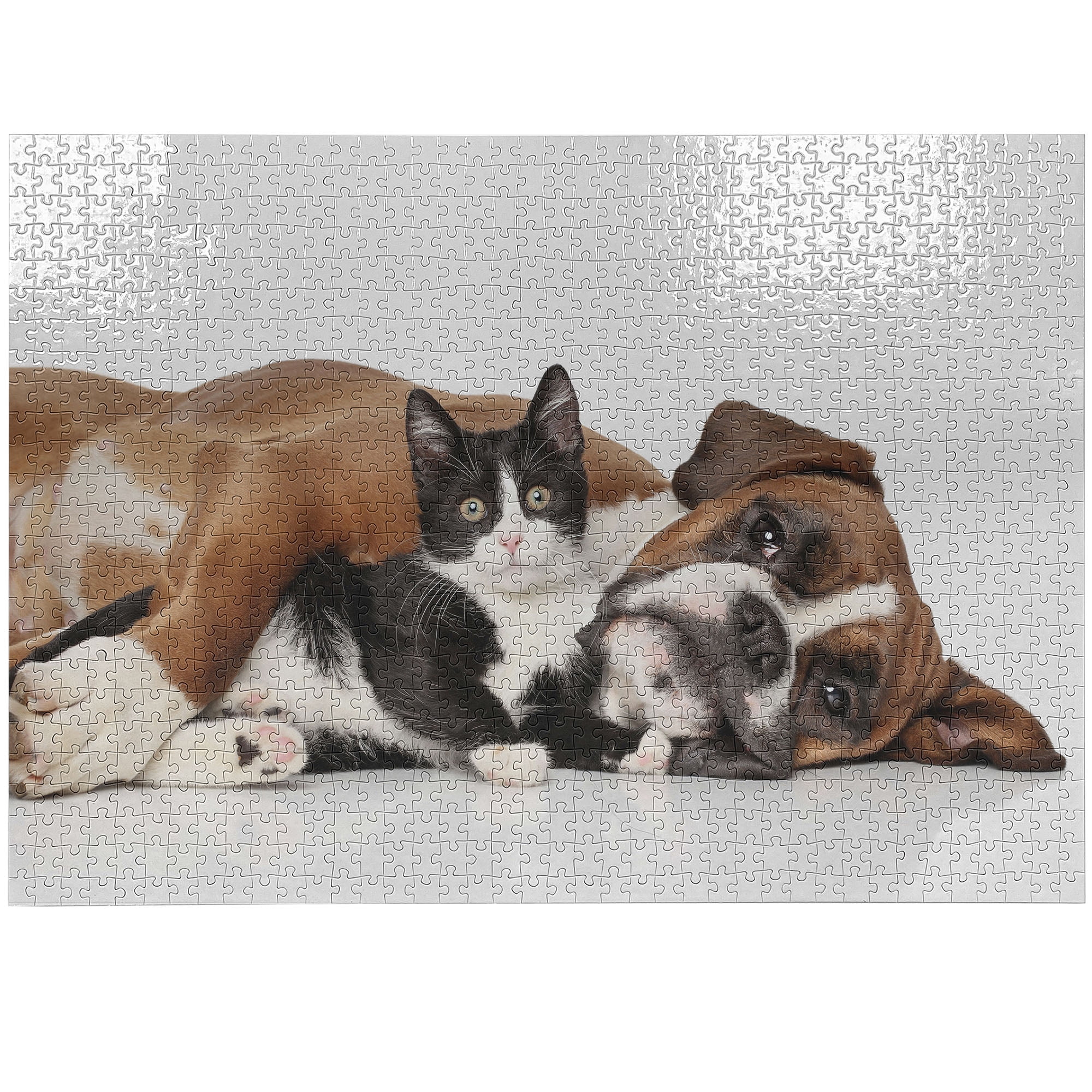 Ambesonne Funny Jigsaw Puzzle Durable Cardboard, Cat Dog Friendship ...