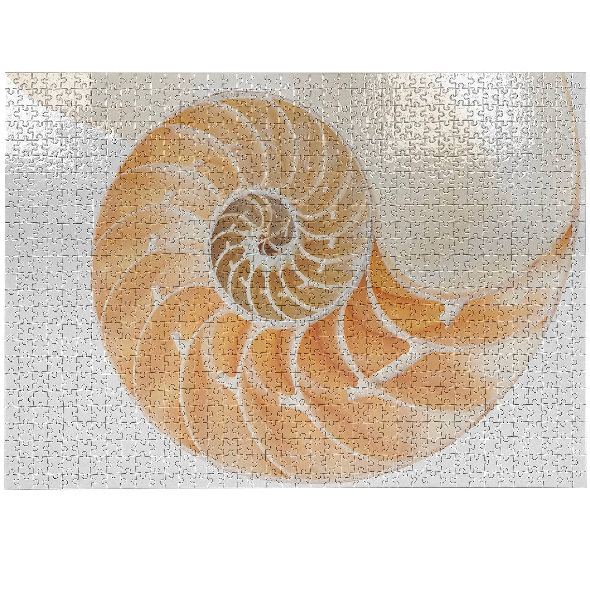 Ambesonne Geometry Jigsaw Puzzle, Curves Helix Design, Heirloom-Quality ...