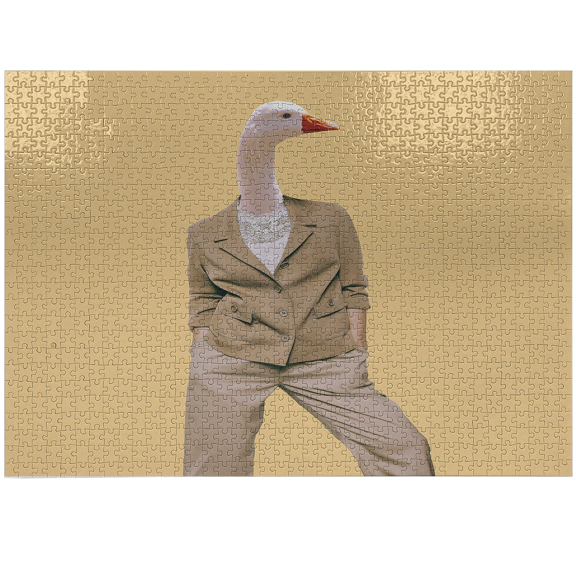 Ambesonne Hipster Jigsaw Puzzle Durable Cardboard, Goose Woman Vintage ...