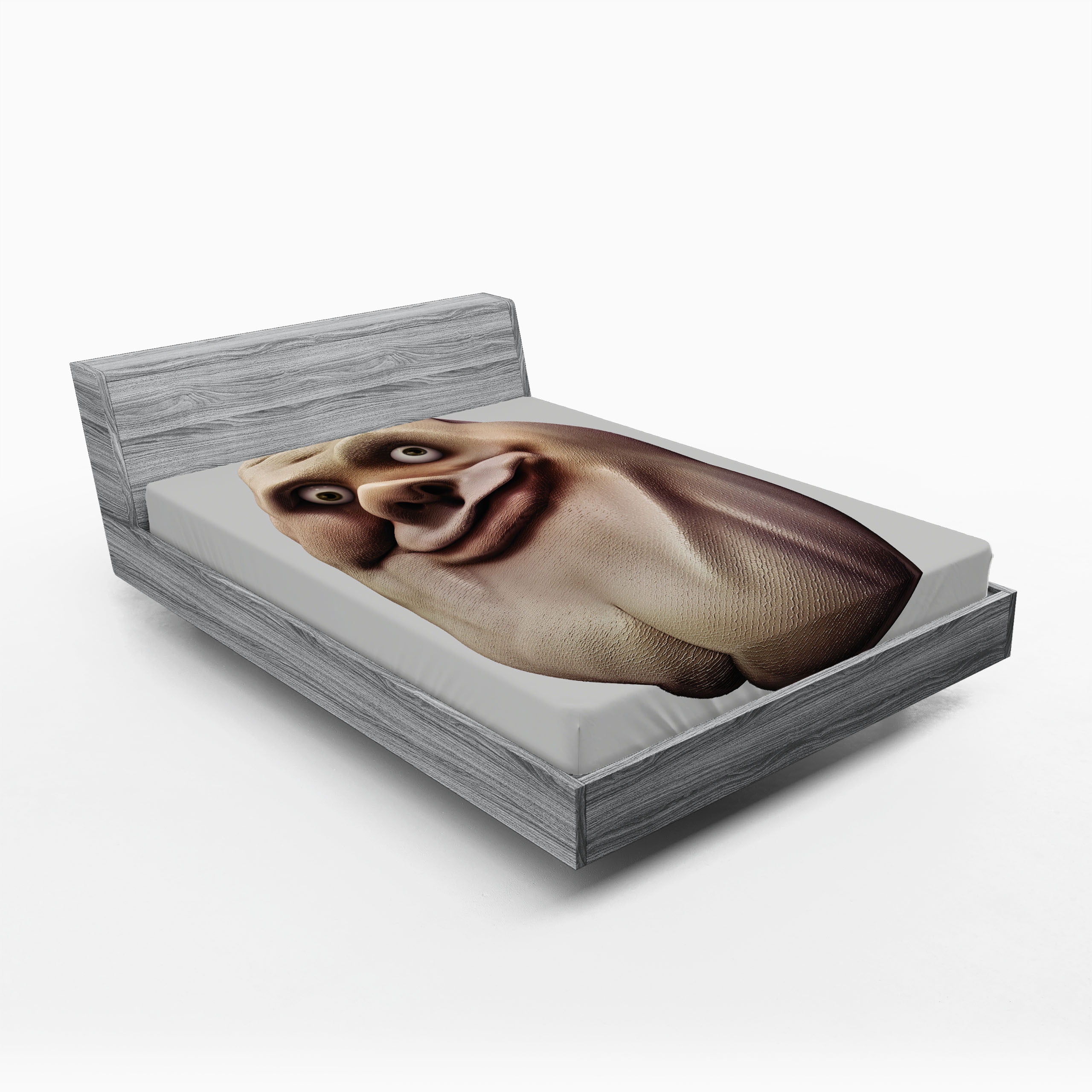 Ambesonne Humor Fitted Sheet, Awkward Meme Ugly Face, Queen Size, Pearl ...