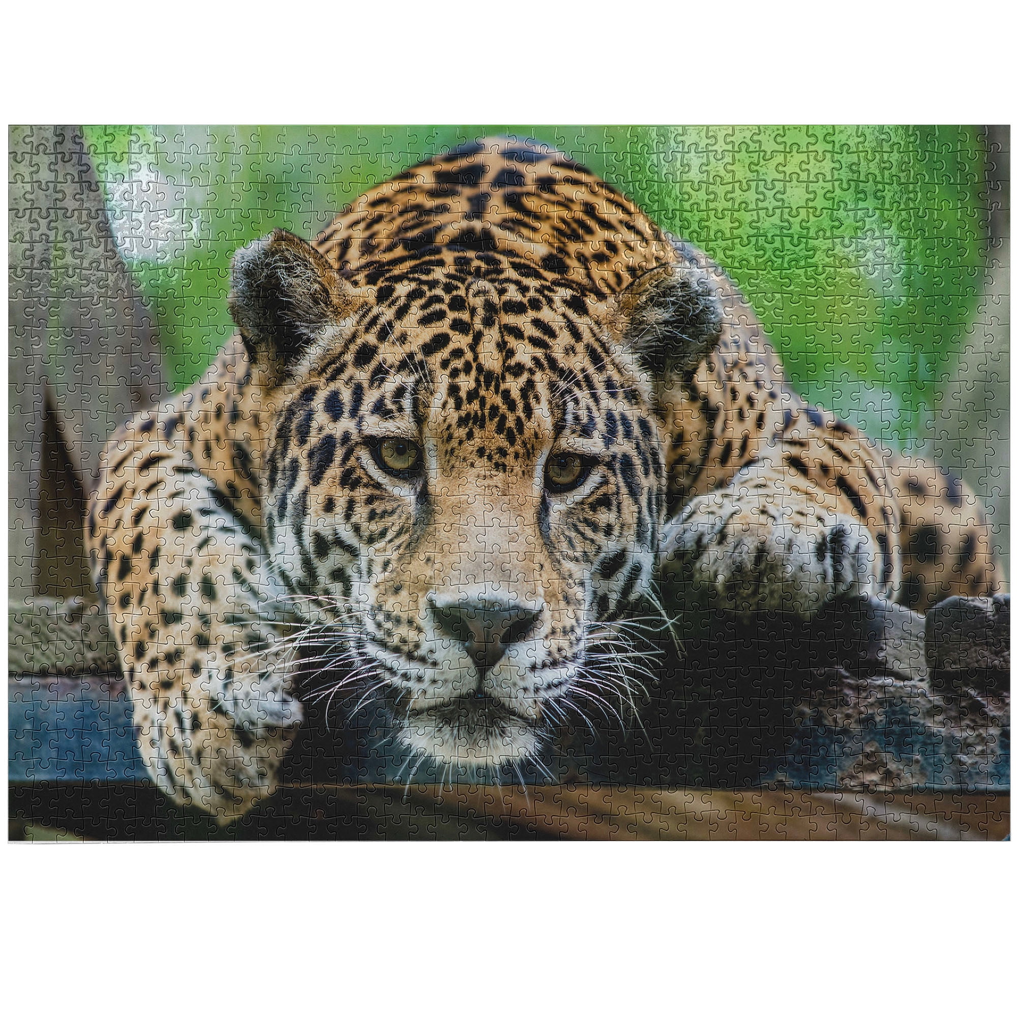 Ambesonne Jungle Jigsaw Puzzle, Jaguar Wildcat Feline, Heirloom-Quality ...