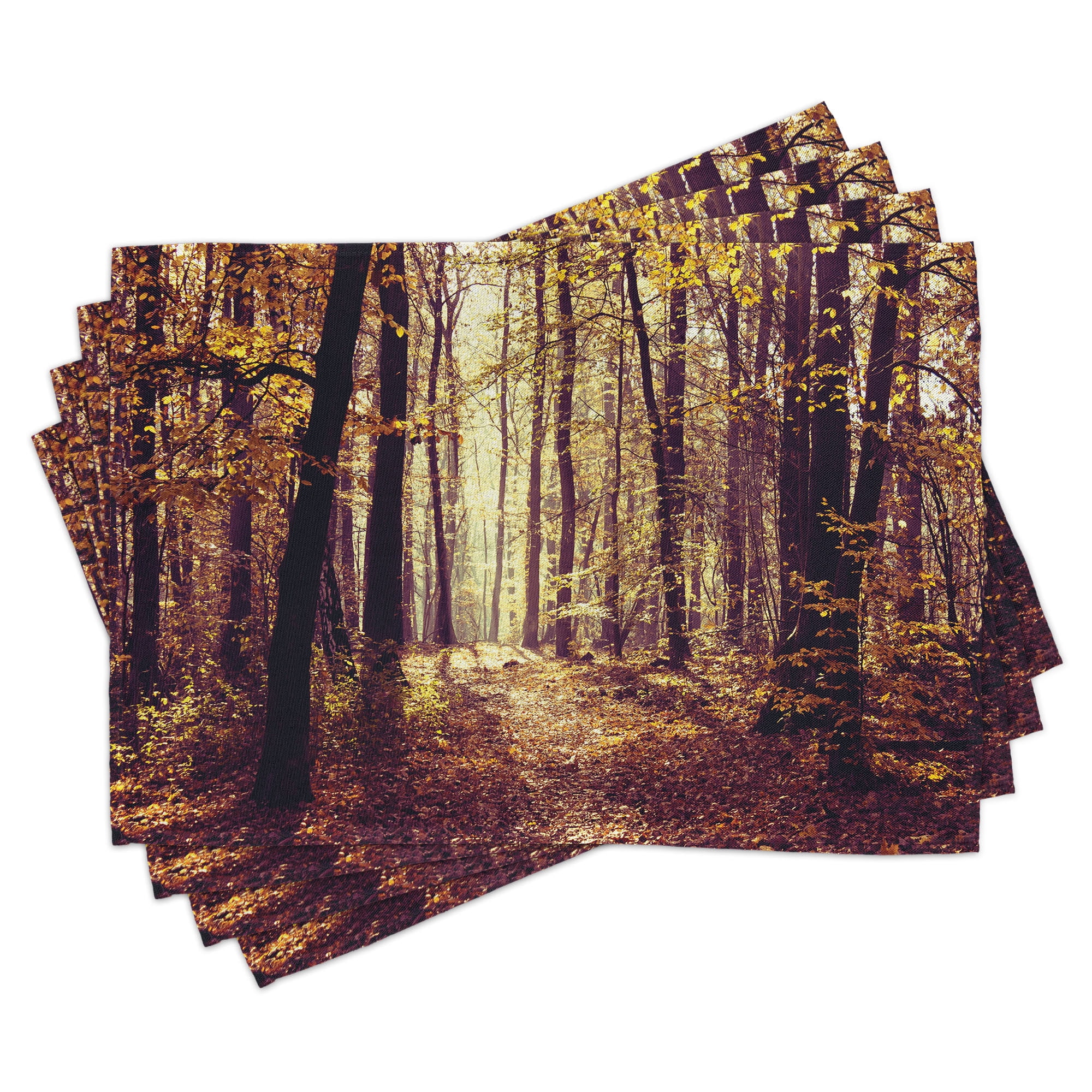 Ambesonne Landscape Place Mats Set of 4, Misty Weather Forest, Standard ...
