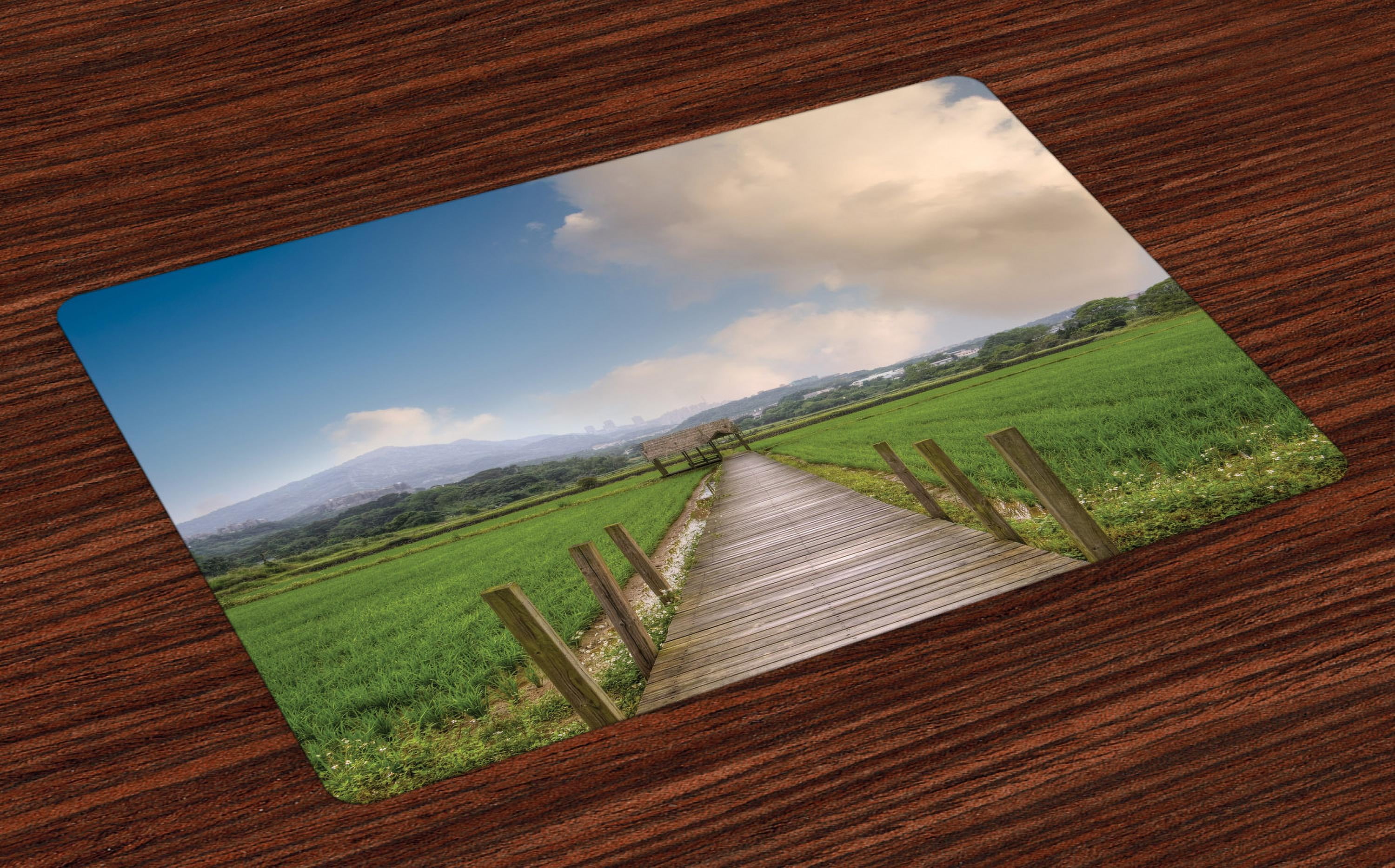 Ambesonne Landscape Place Mats Set of 4, Wooden Rural Path, Standard ...