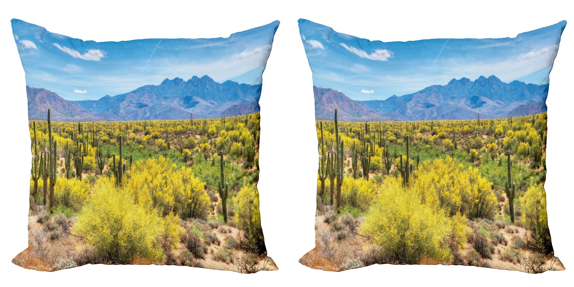 Ambesonne Landscape Throw Pillow Cover 2 Pack, Landscape of Desert, 20 ...