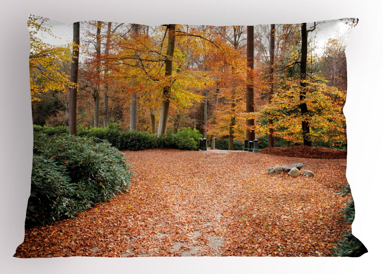 Ambesonne Nature Pillow Sham, Autumn Forest Trees Fall, 26" X 20 ...