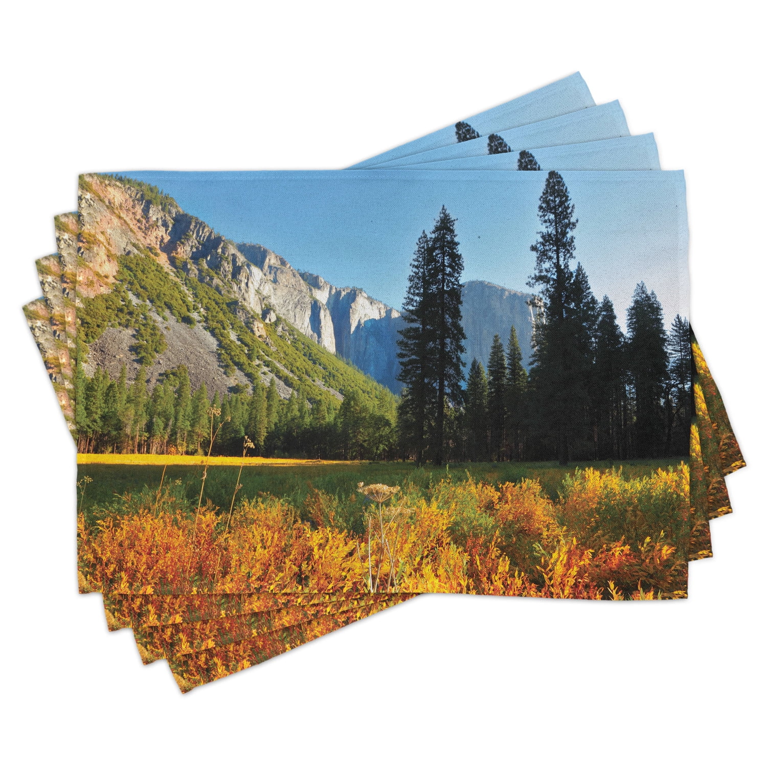 Ambesonne Nature Place Mats Set of 4, Birds over Mountains, Standard ...