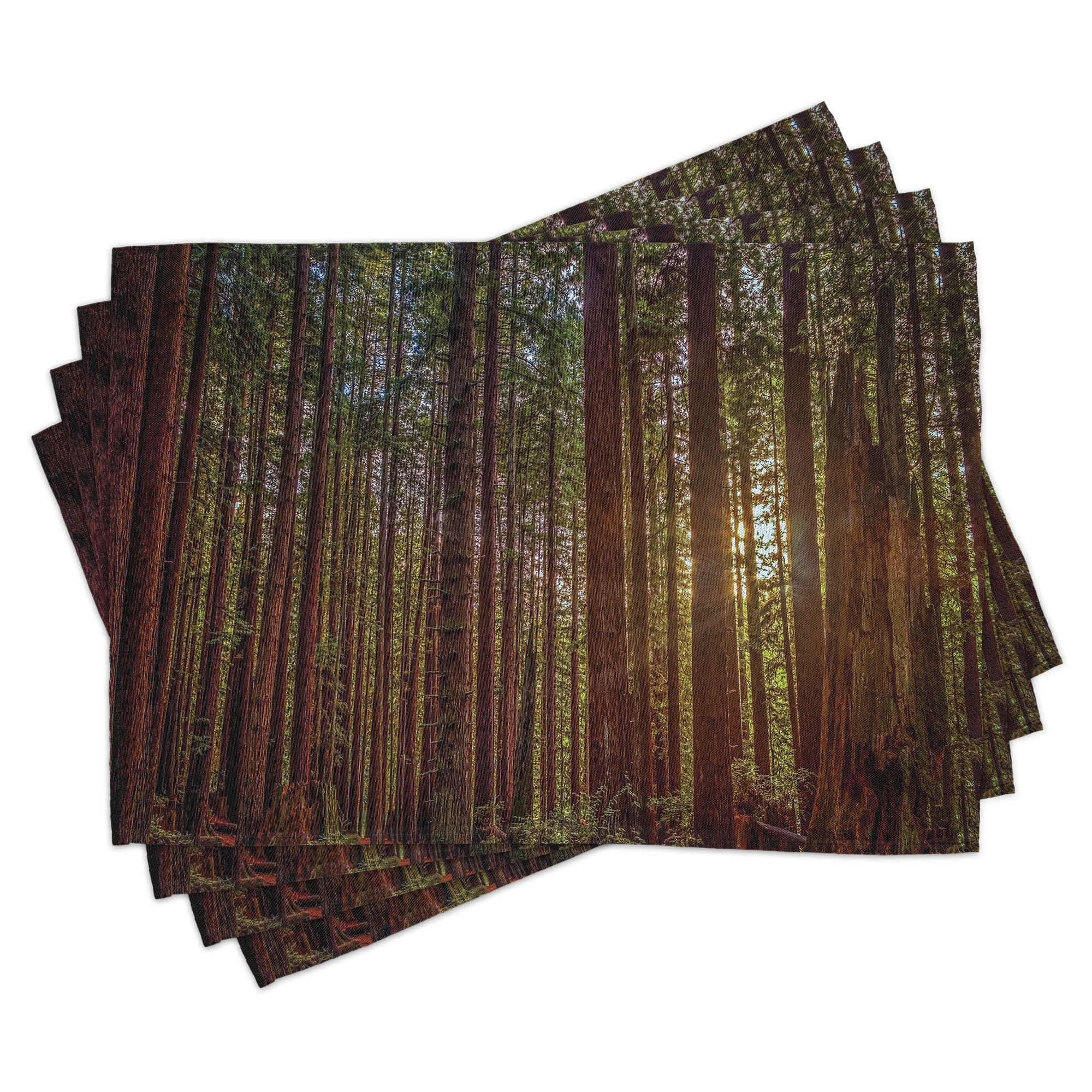 Ambesonne Nature Place Mats Set of 4, Redwood Forest Park USA, Standard ...