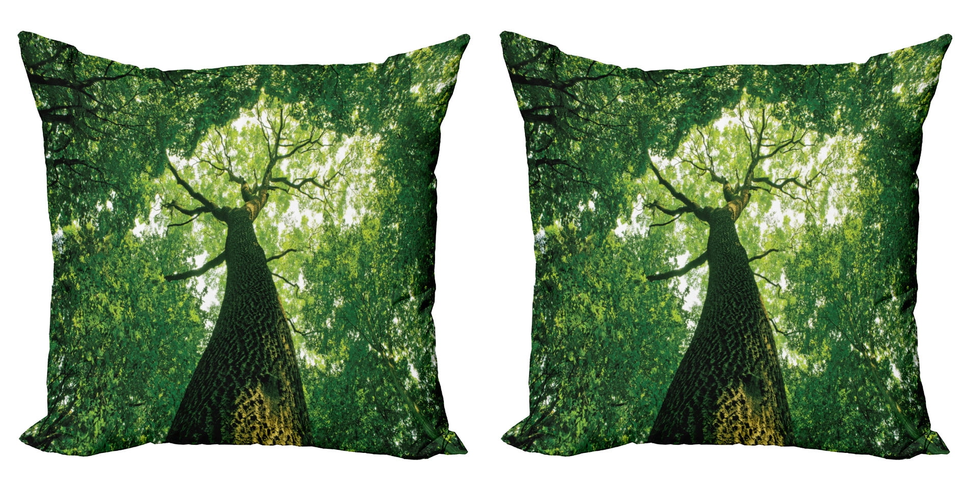 Ambesonne Nature Throw Pillow Cover 2 Pack, Leaves Tree Branches, 24 ...