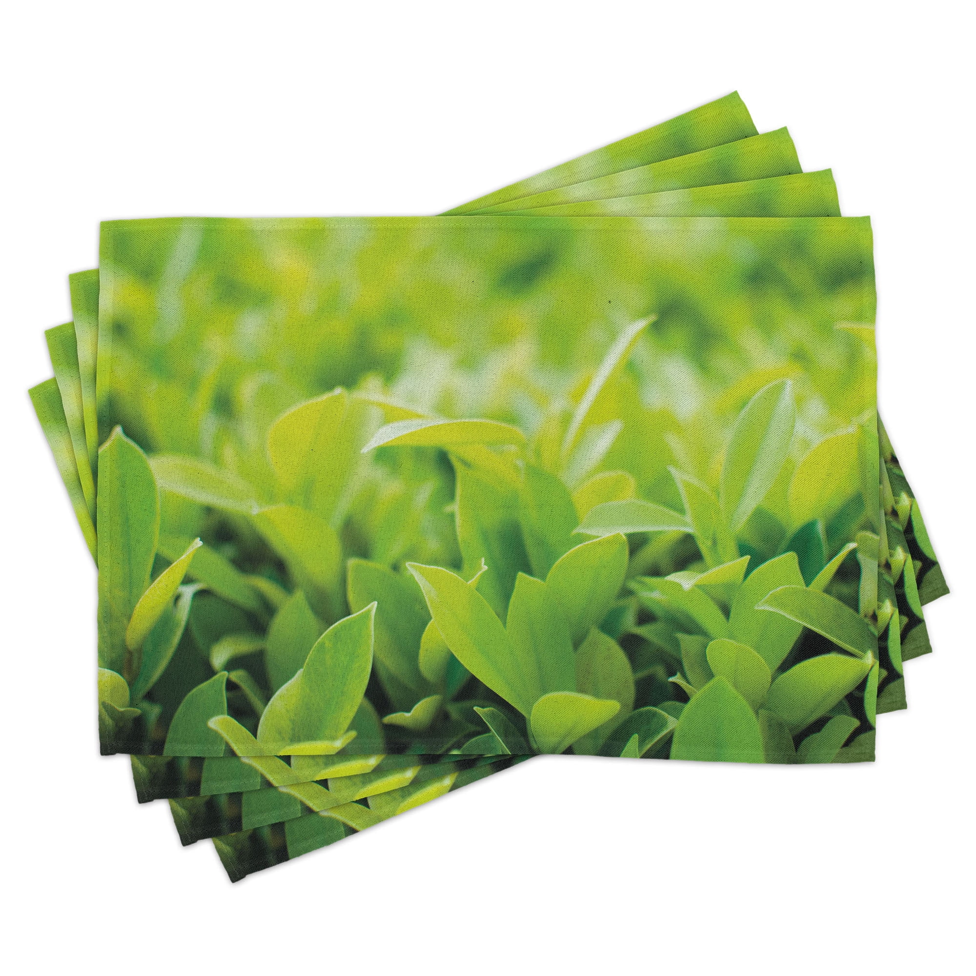 Ambesonne Plant Place Mats Set of 4, Macro Green Leaves, Standard Size ...