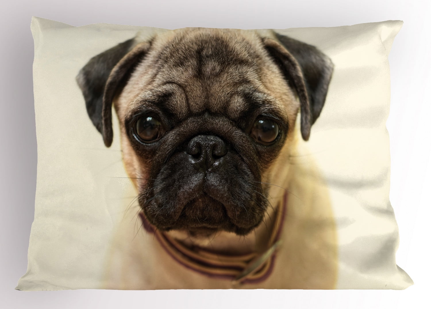 Ambesonne Pug Pillow Sham, Pure Bred Dog Photograph, 36" X 20", Pale ...