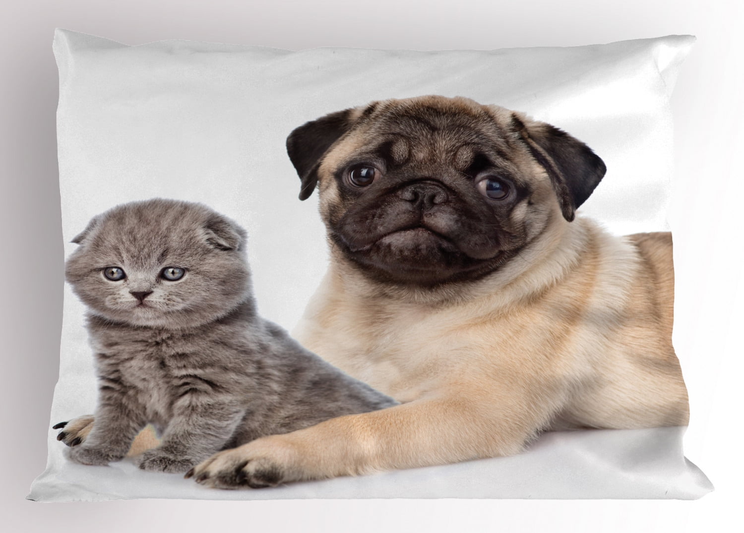 Ambesonne Pug Pillow Sham, Young Puppy and Kitten, 26" X 20", Pale ...
