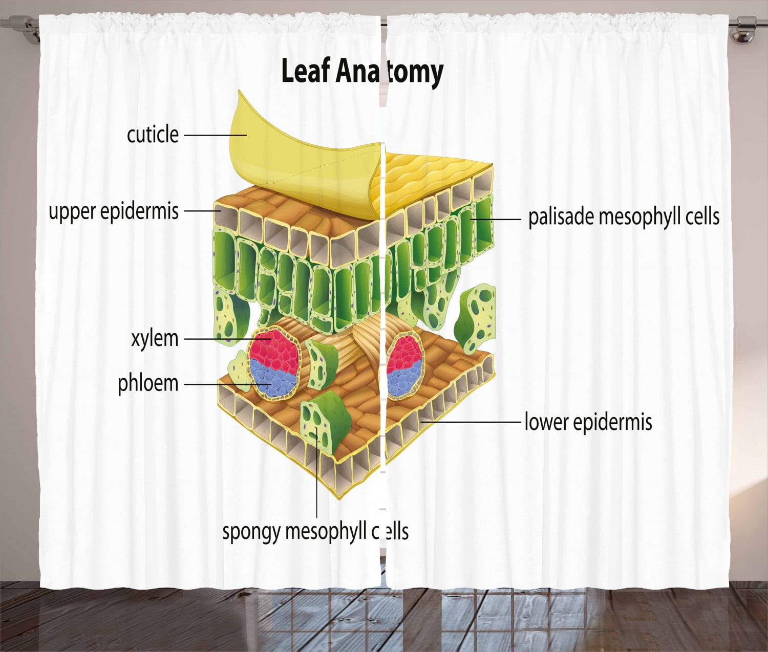 Ambesonne Science Curtains 2 Panel Set, Leaf Names Theme, 108" x 90 ...