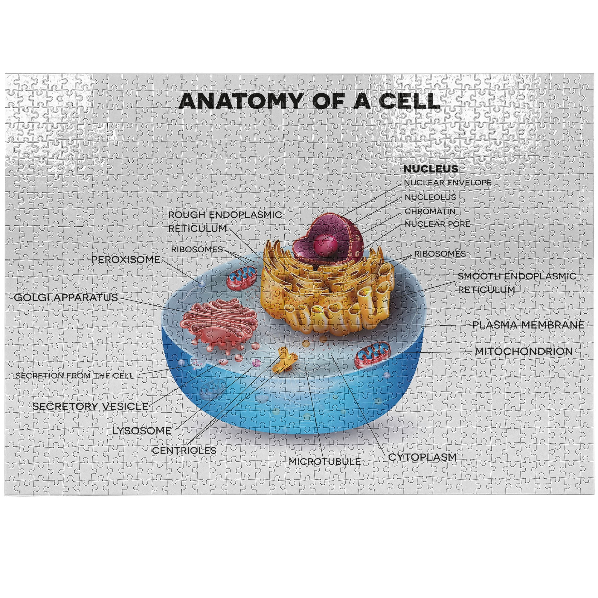 Ambesonne Science Jigsaw Puzzle, Microscopic Parts, Heirloom-Quality ...